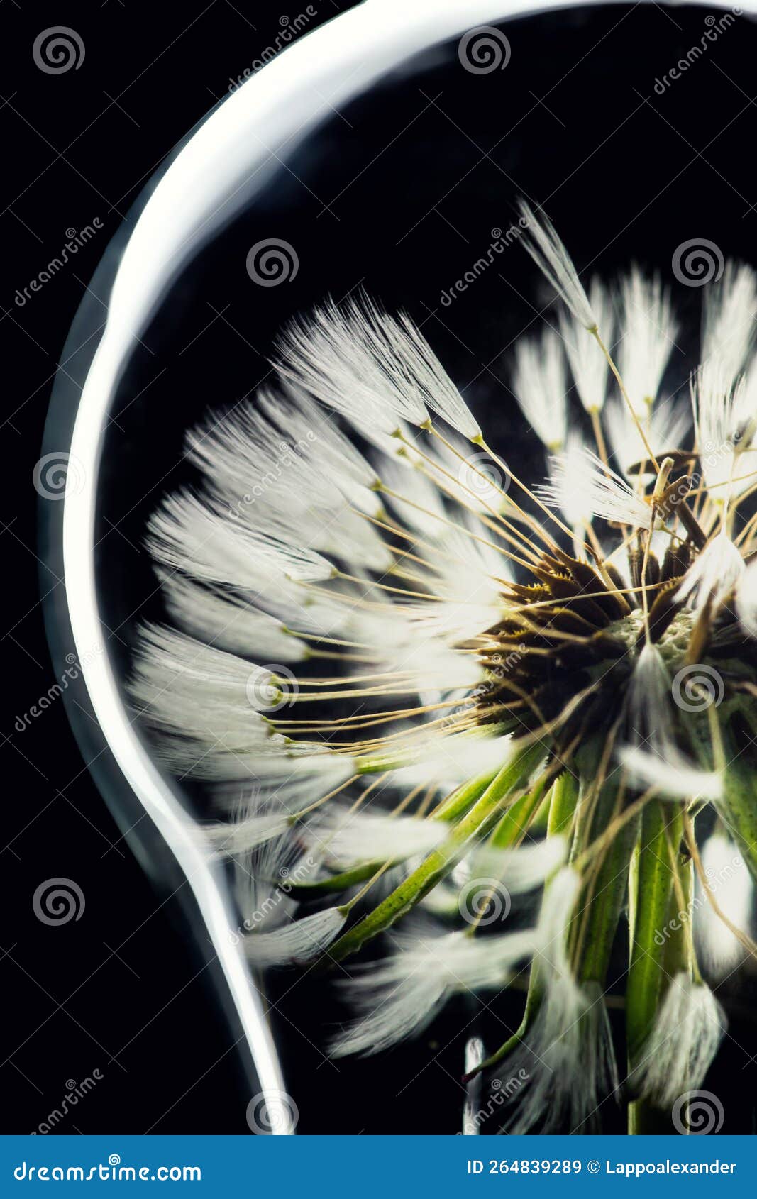 Light Bulb Inside Dandelion Flower, Concept Stock Image - Image of ...