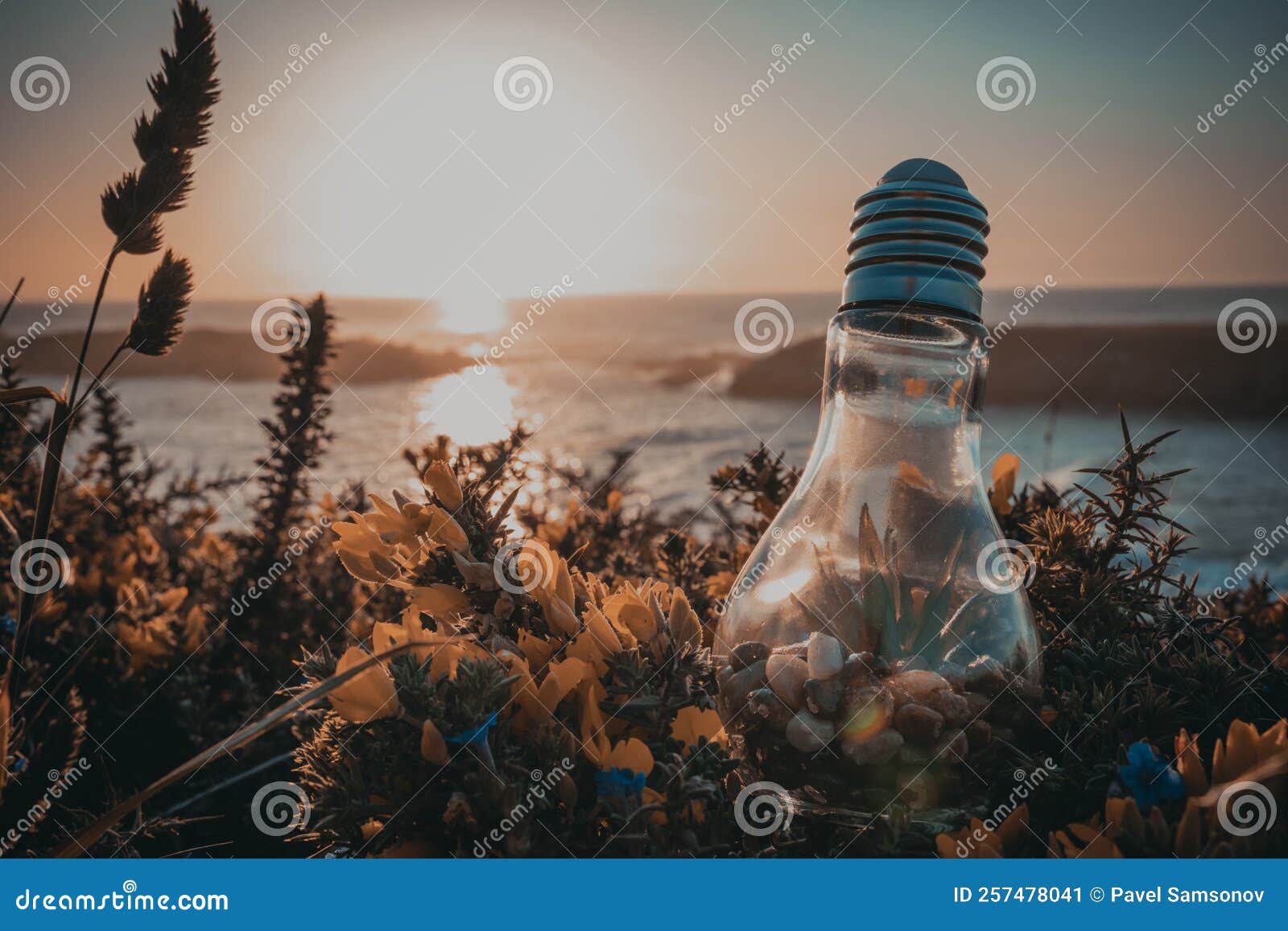 Light Bulb Inside a Green Plant, Light Bulb in a Field among Flowers at ...