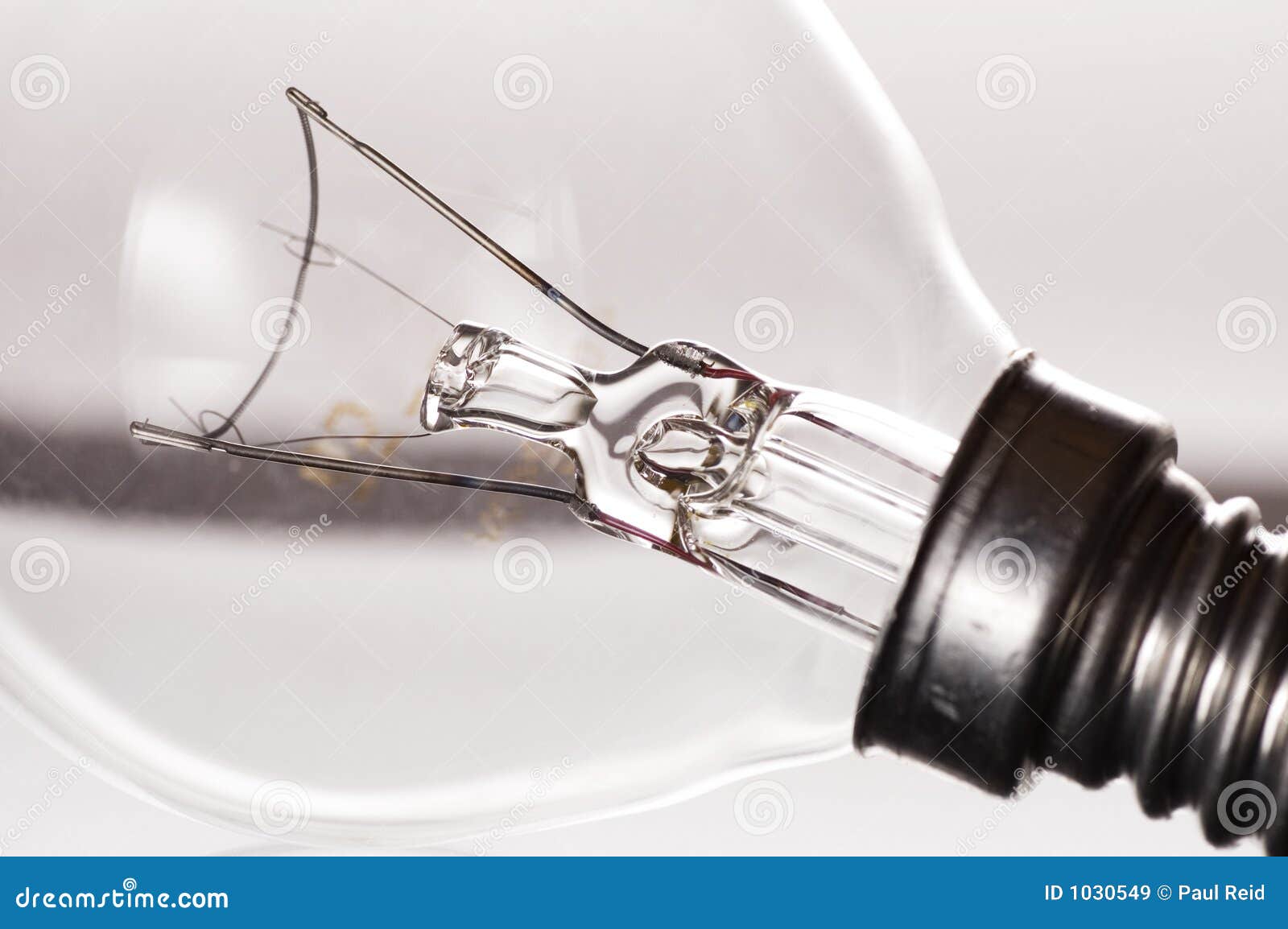 Light Bulb Isolated on White Stock Image - Image of delicate ...
