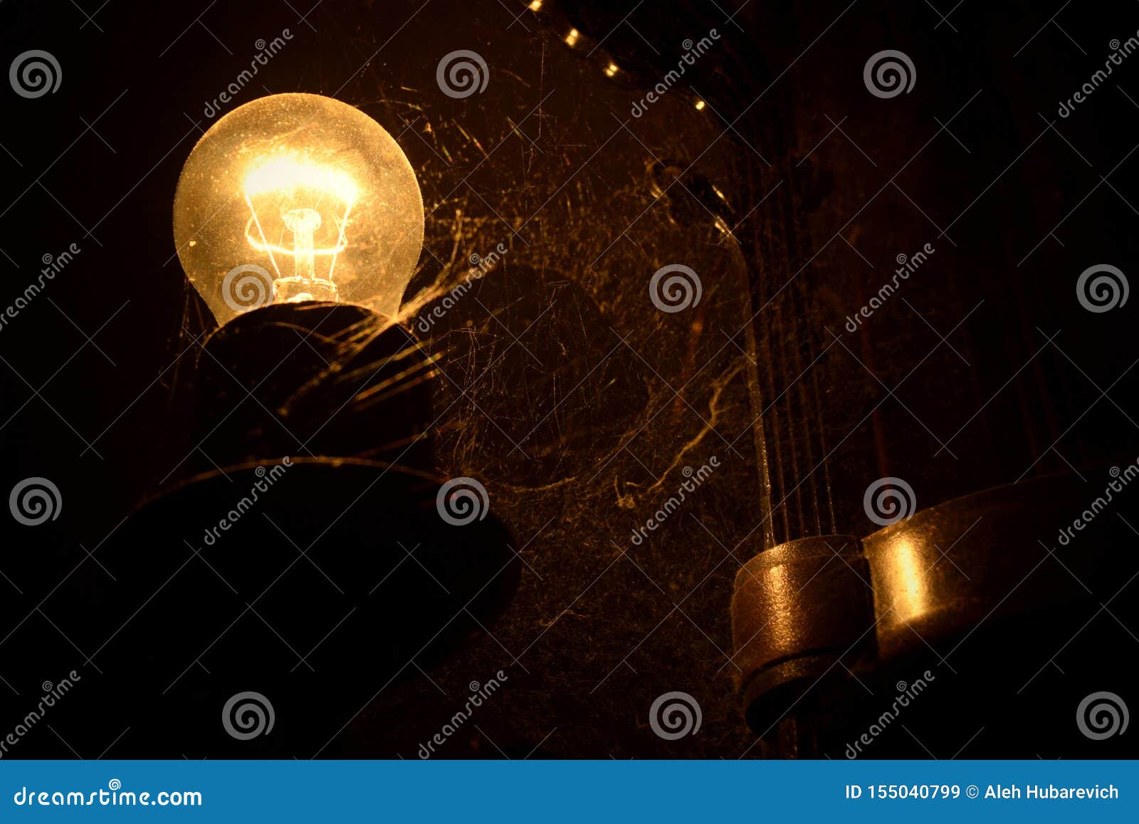 Light Bulb in a Lamp with a Web Stock Image - Image of bulb, dark ...