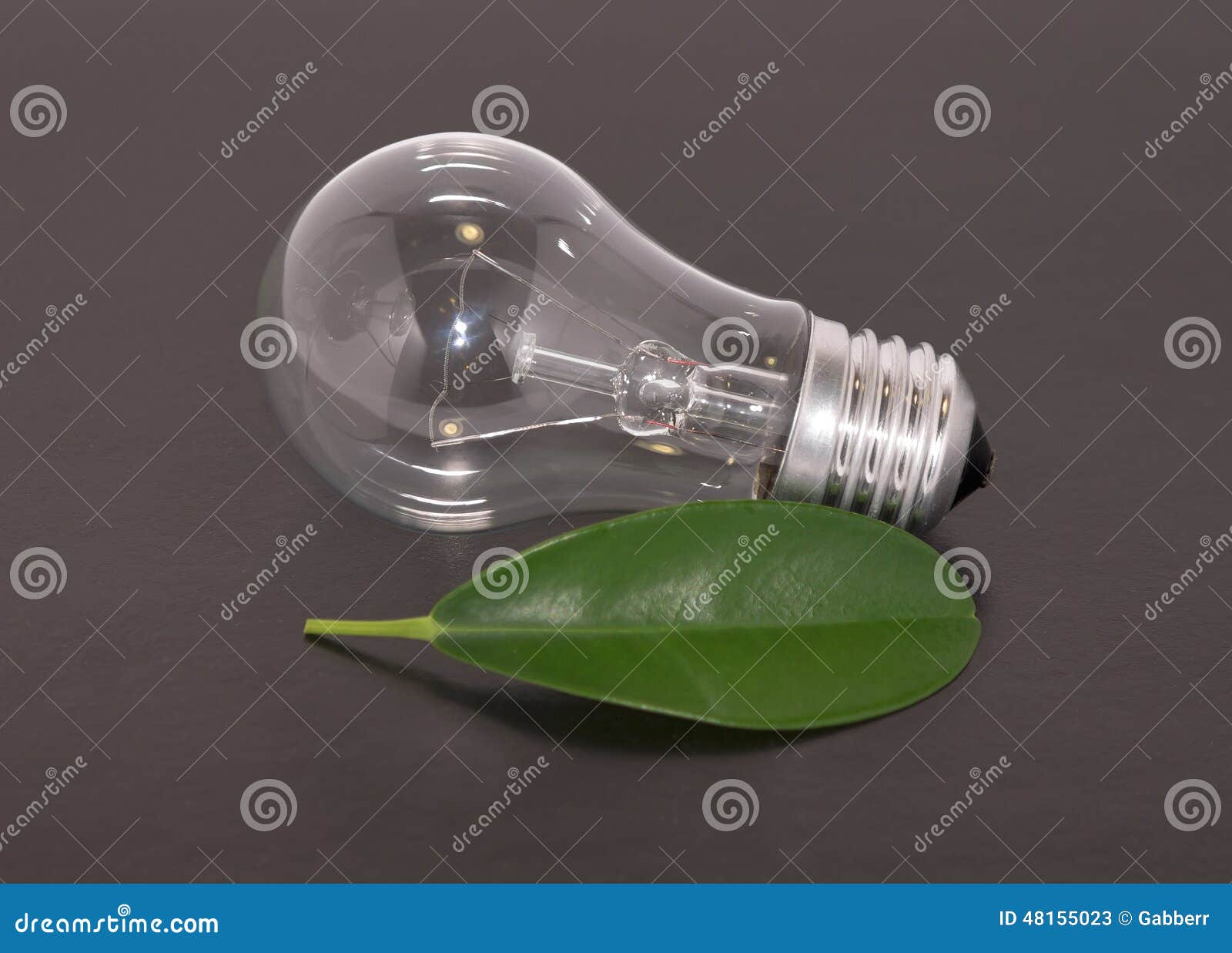 Light bulb and leaf stock image. Image of green, protect - 48155023
