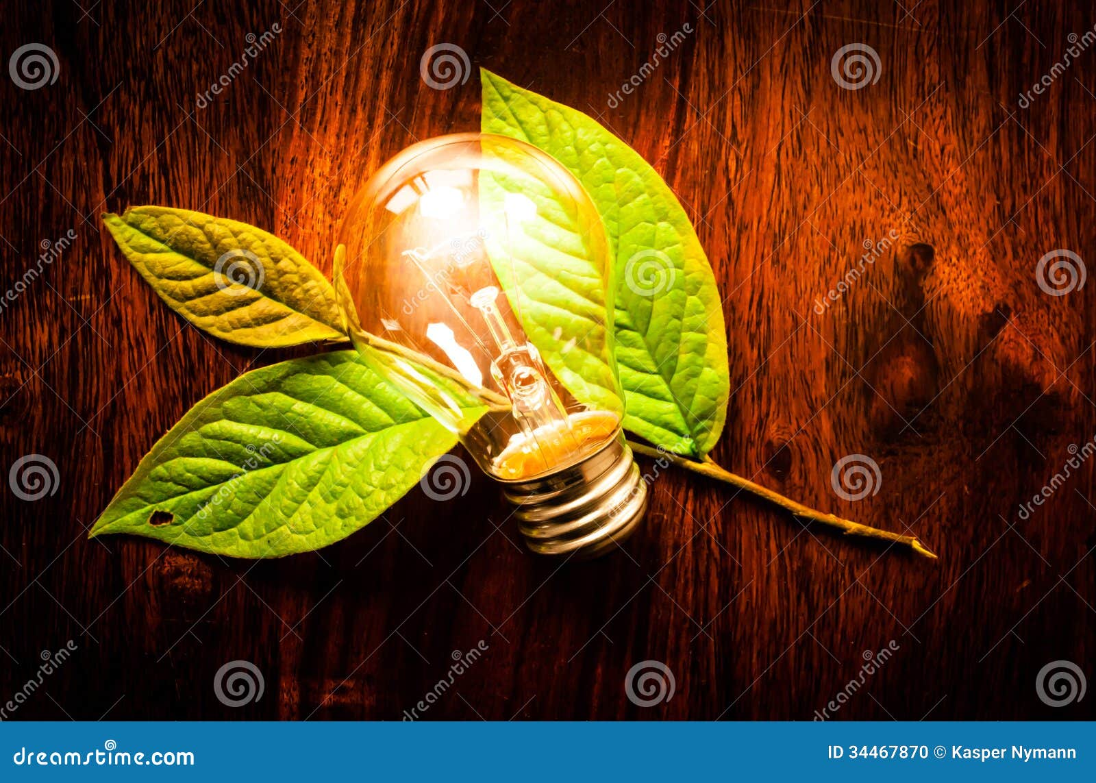 Light bulb on leafs stock photo. Image of energy, ecology - 34467870