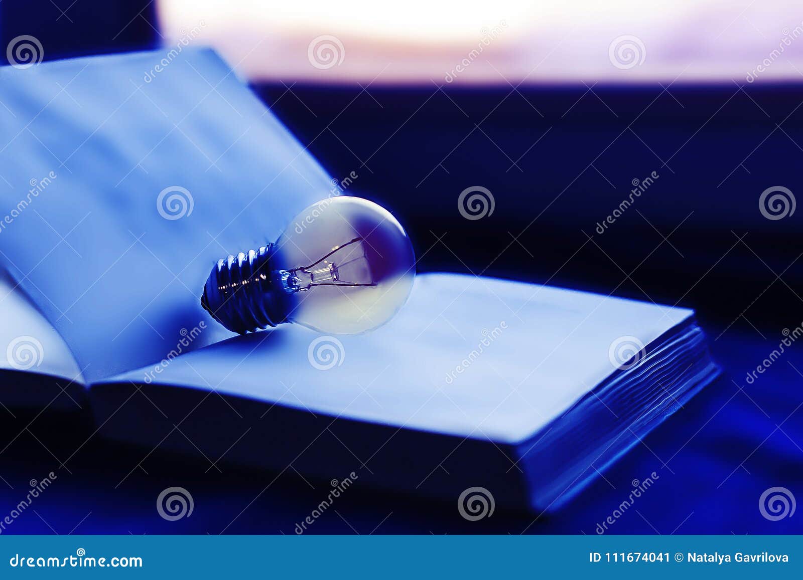 Light Bulb Lies in the Opened Book, the Scientist Light Stock Image ...