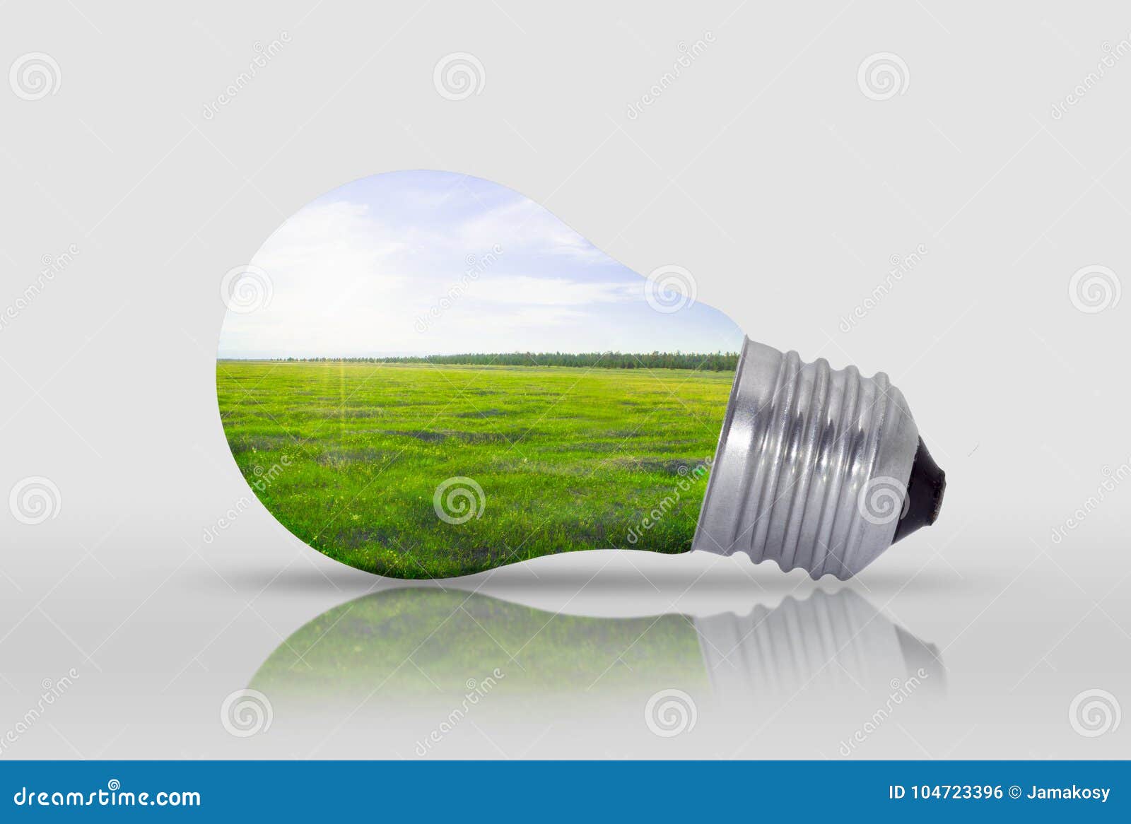 Light Bulb with Nature Inside Stock Photo - Image of natural ...