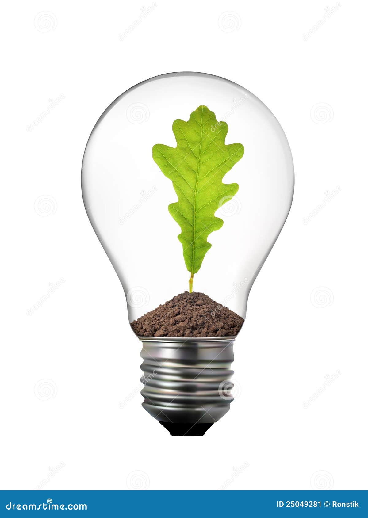 Light Bulb with Oak Leaf Inside Stock Image - Image of lamp, concept ...