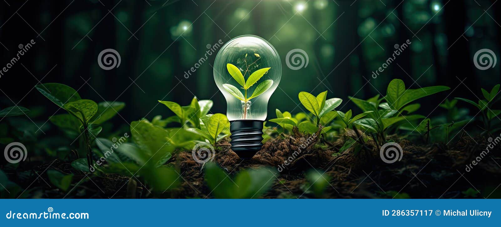 Light Bulb Plant Inside Dark Green Nature Stock Image - Image of ...
