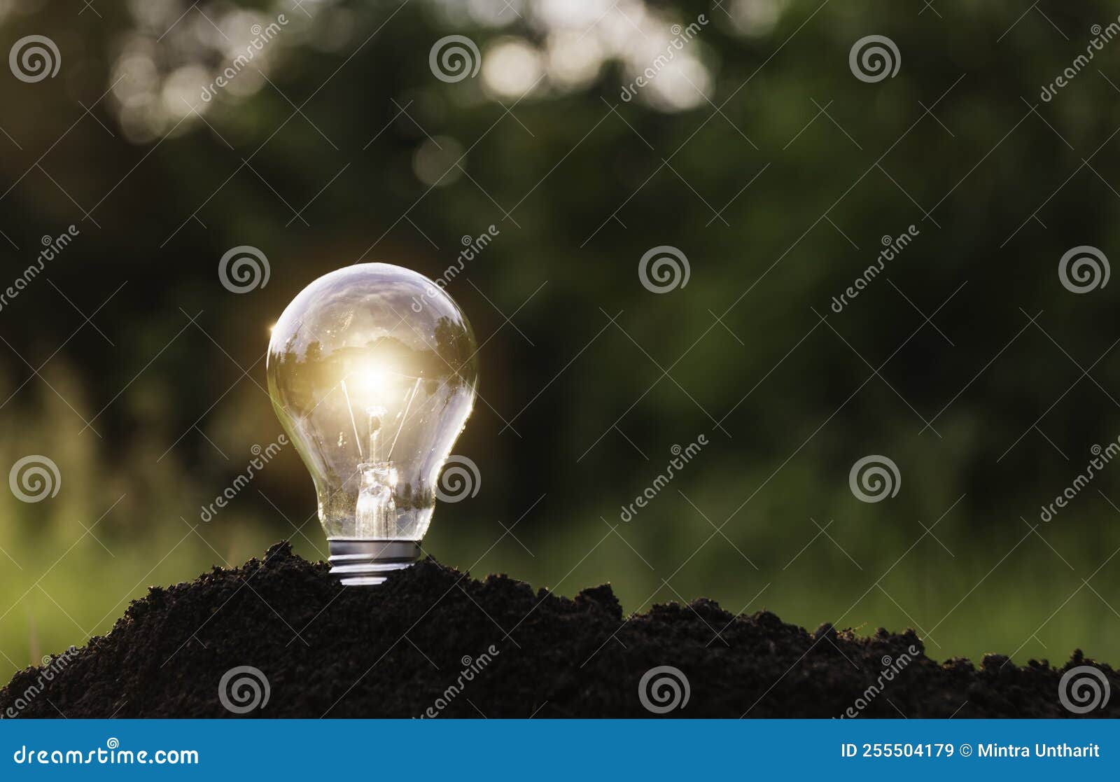 Light Bulb Putting On The Soil In Nature Background Royalty-Free Stock ...