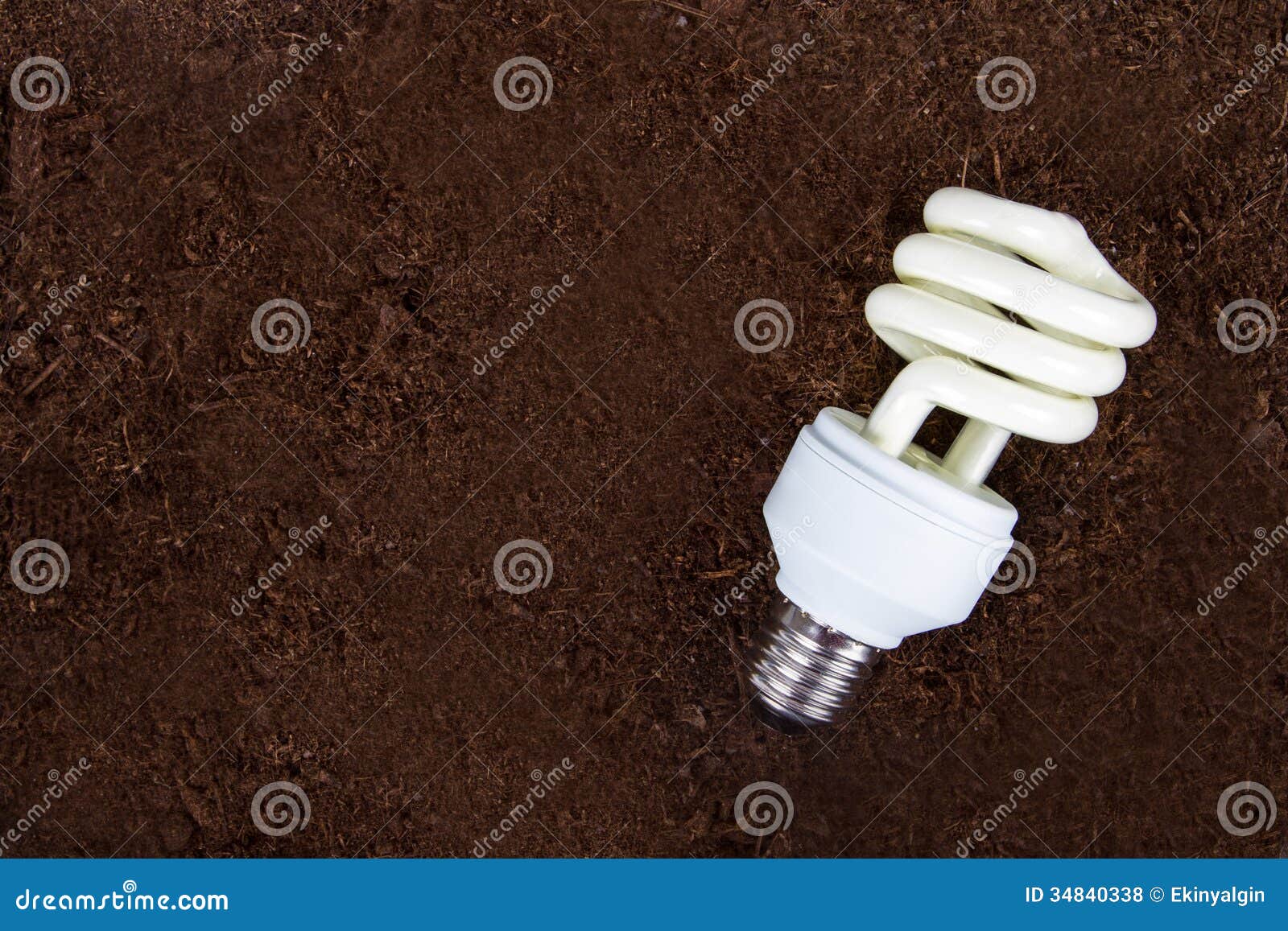 Light Bulb on Soil stock photo. Image of life, macro - 34840338