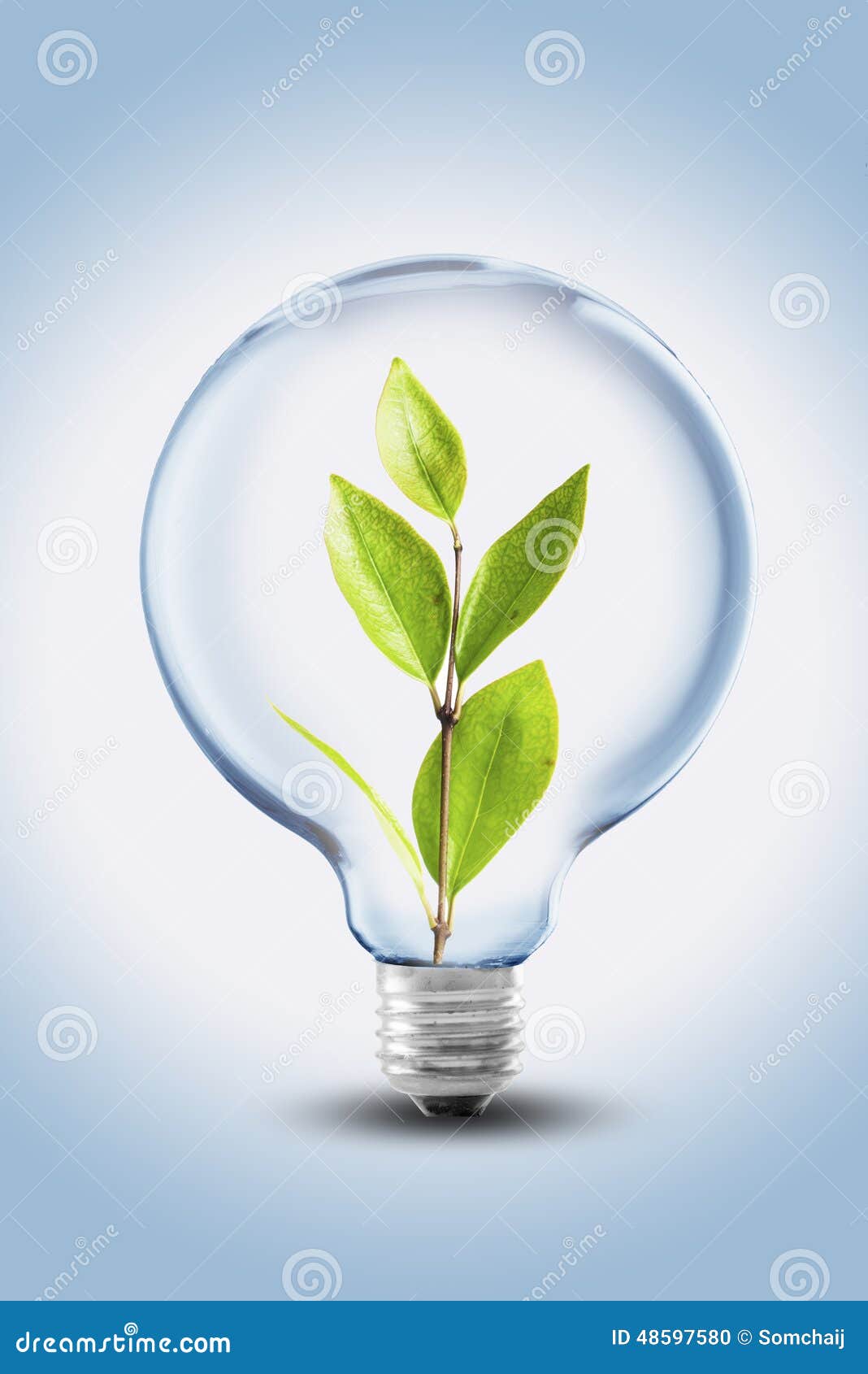 Light Bulb with Soil and Green Plant Sprout Inside Stock Photo - Image ...