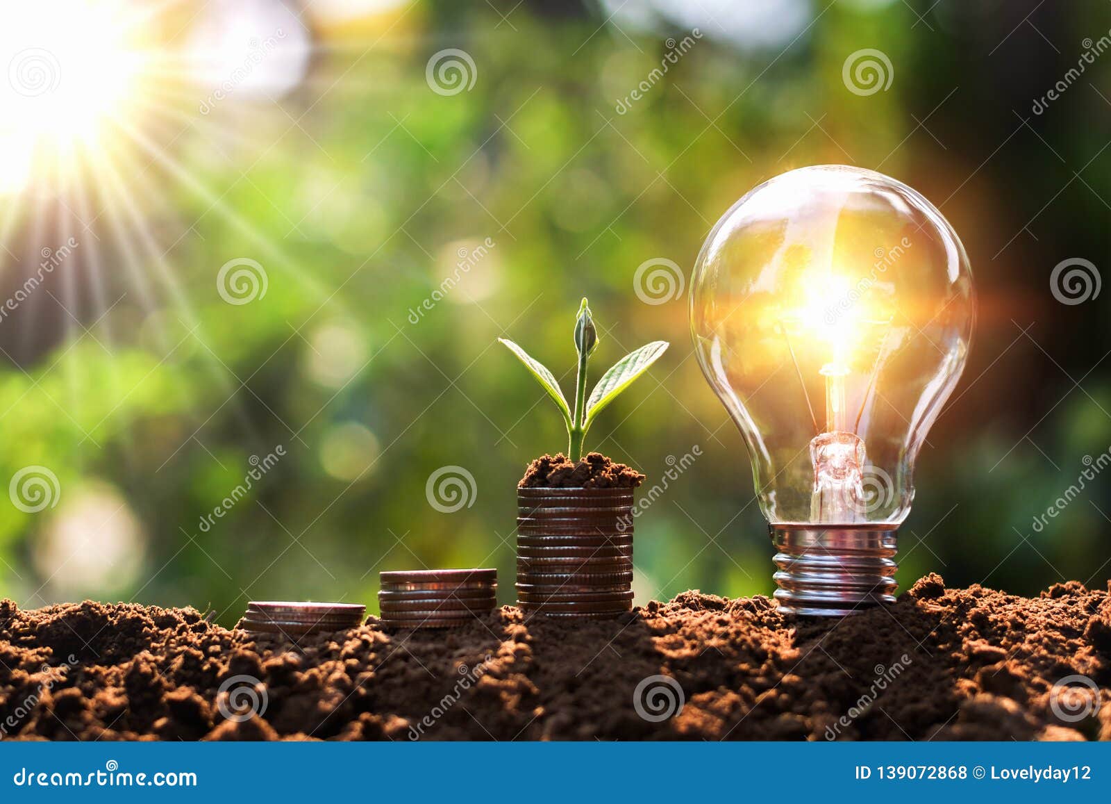 Light Bulb on Soil with Young Plant Growing on Money Stack. Saving ... Light Bulb on Soil with Young Plant Growing on Money Stack. Saving ...