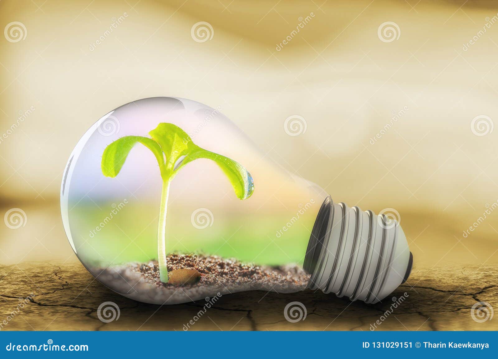 Light Bulb with Sprout Inside Stock Illustration - Illustration of leaf ...