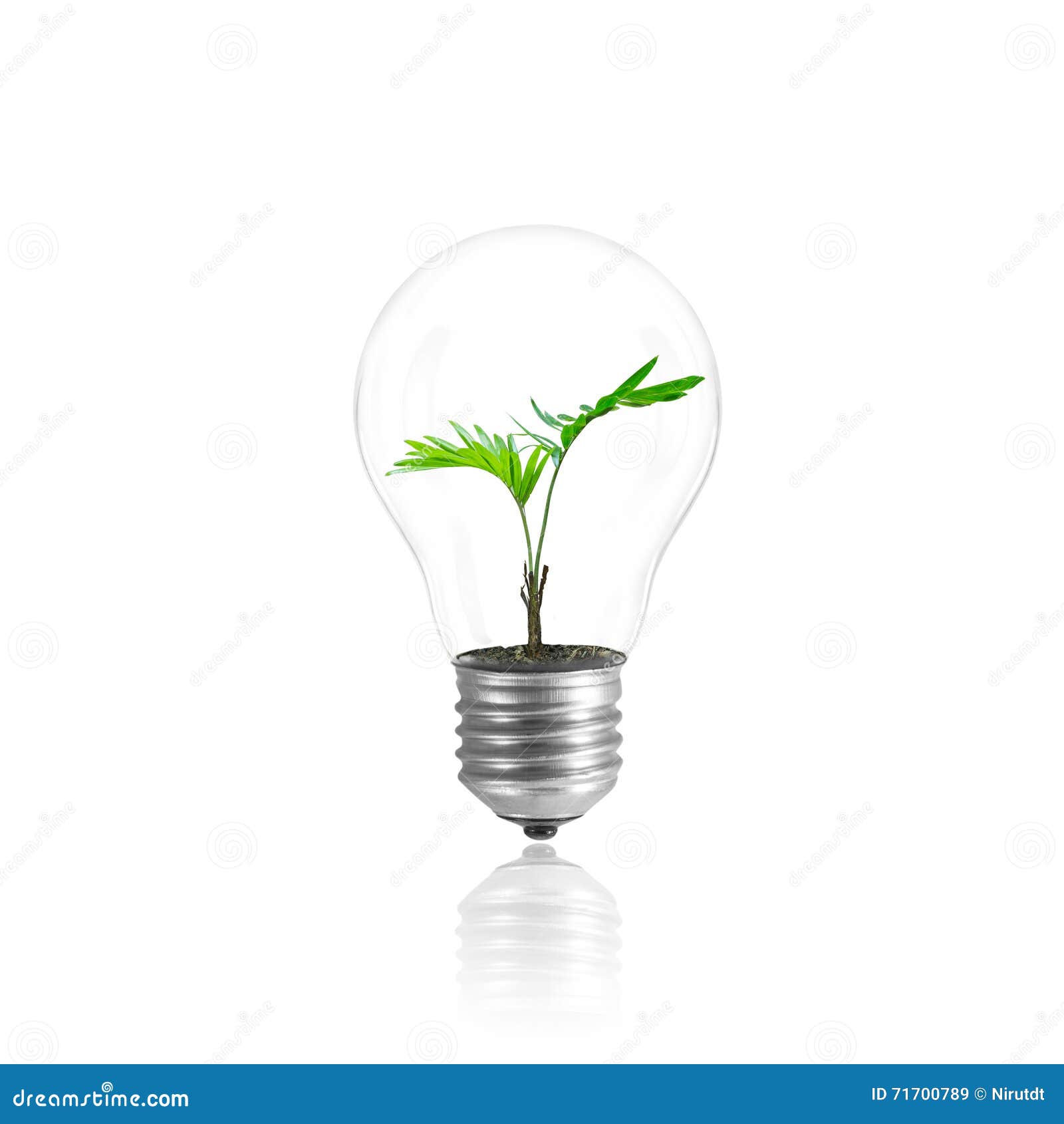 Light bulb with sprout. stock image. Image of nature - 71700789