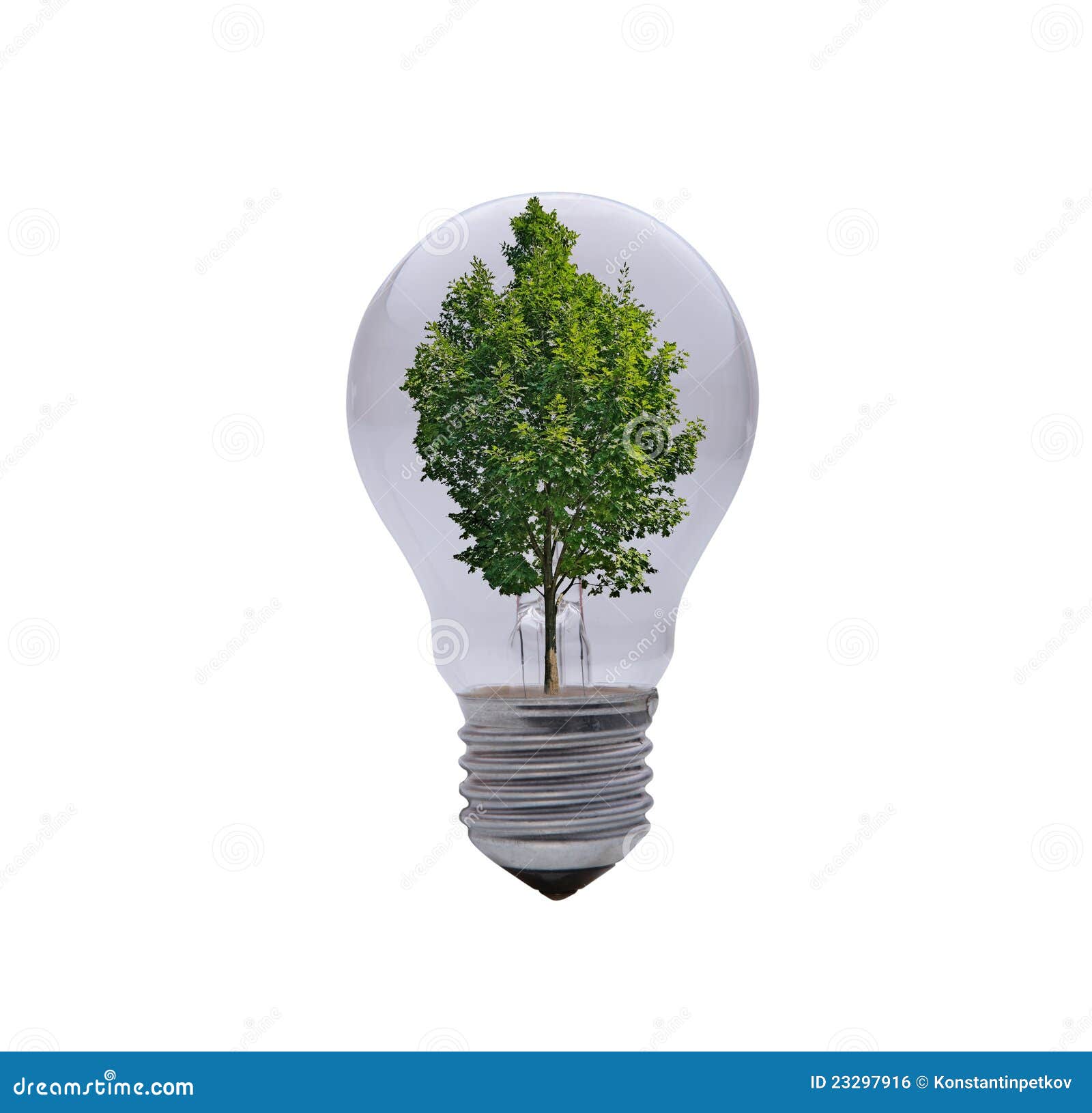 Light bulb with tree stock photo. Image of solving, isolated - 23297916
