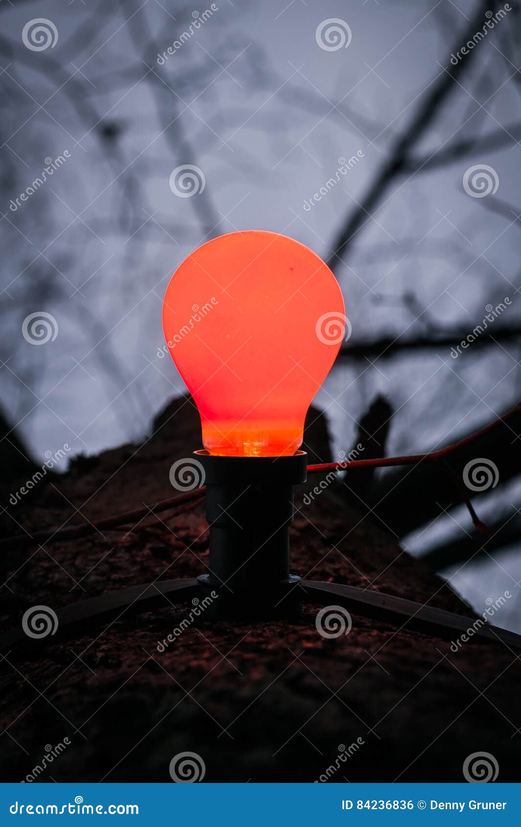 Light bulb on tree stock photo. Image of color, light - 84236836