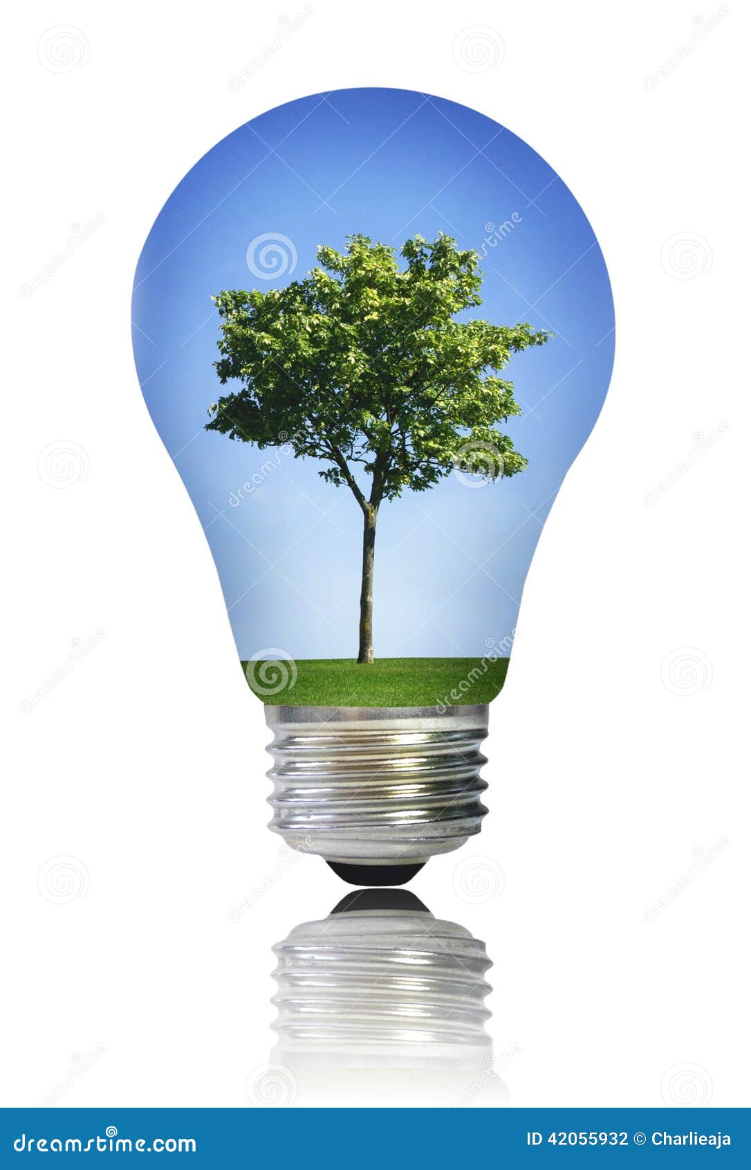 Light bulb with tree stock photo. Image of conceptual - 42055932