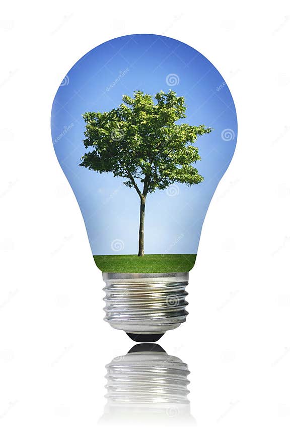 Light bulb with tree stock photo. Image of conceptual - 42055932