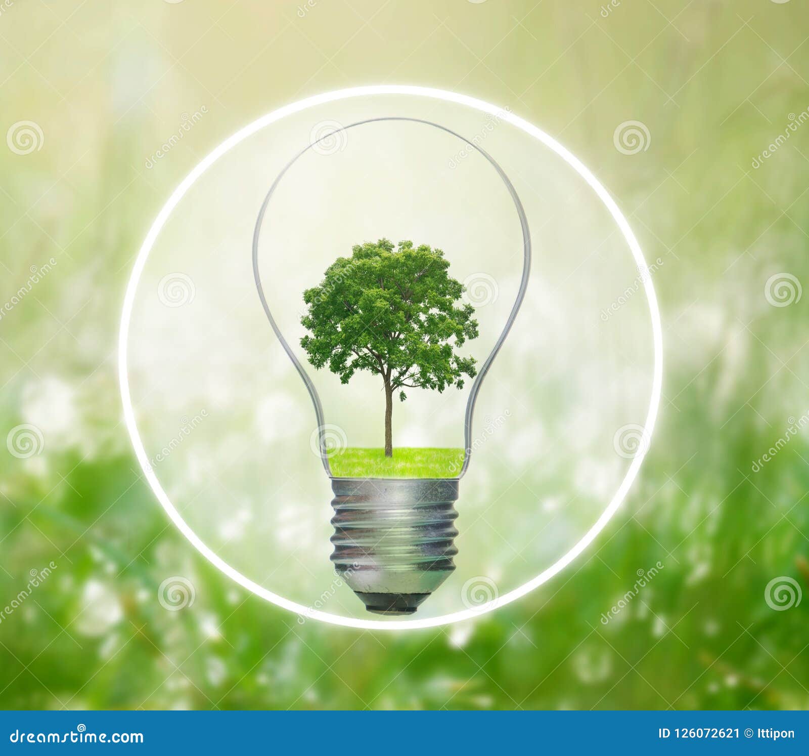 Light Bulb with Tree Growing Inside Stock Image - Image of lamp, light ...