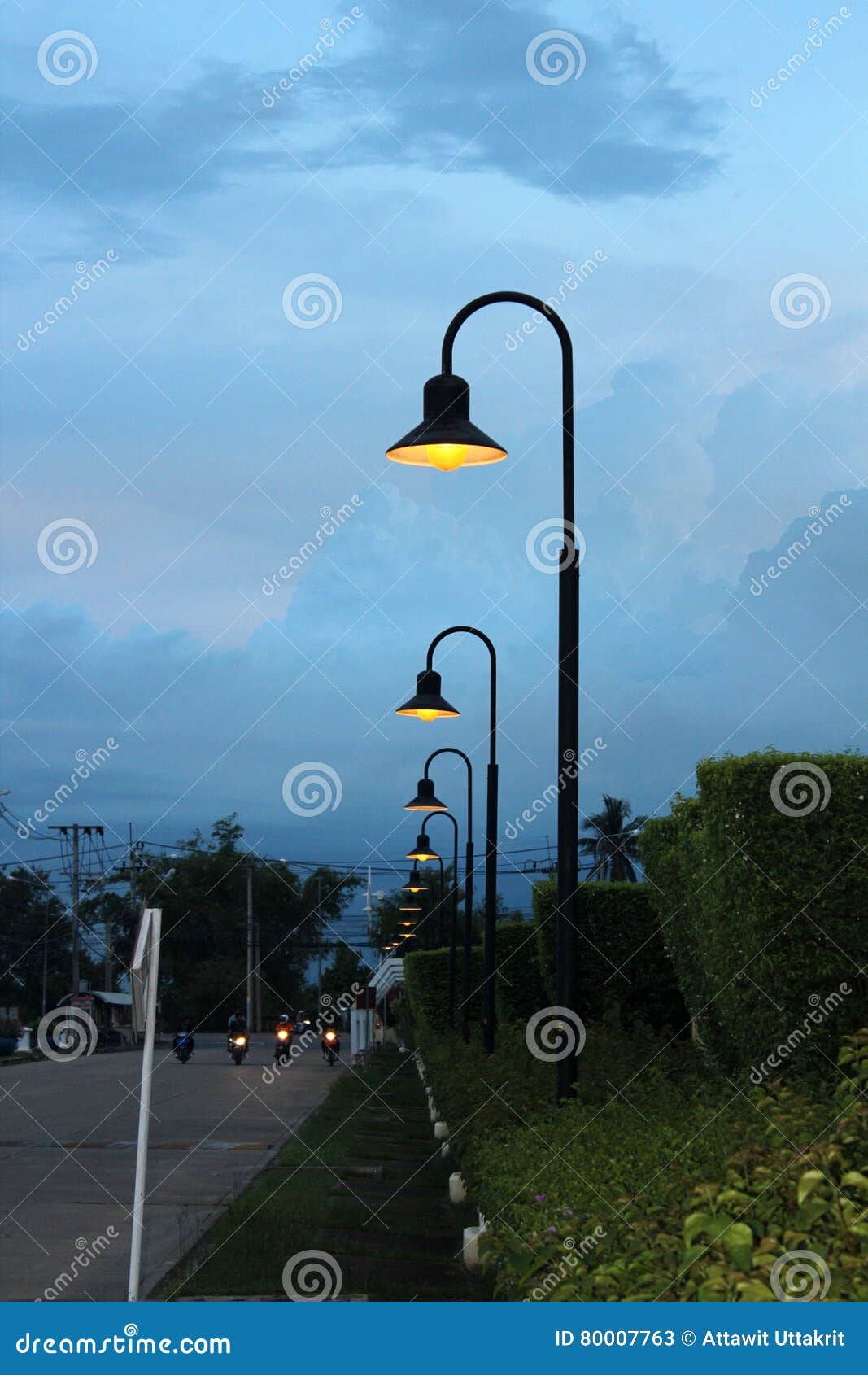 Light bulb stock image. Image of tree, lighting, soft - 80007763