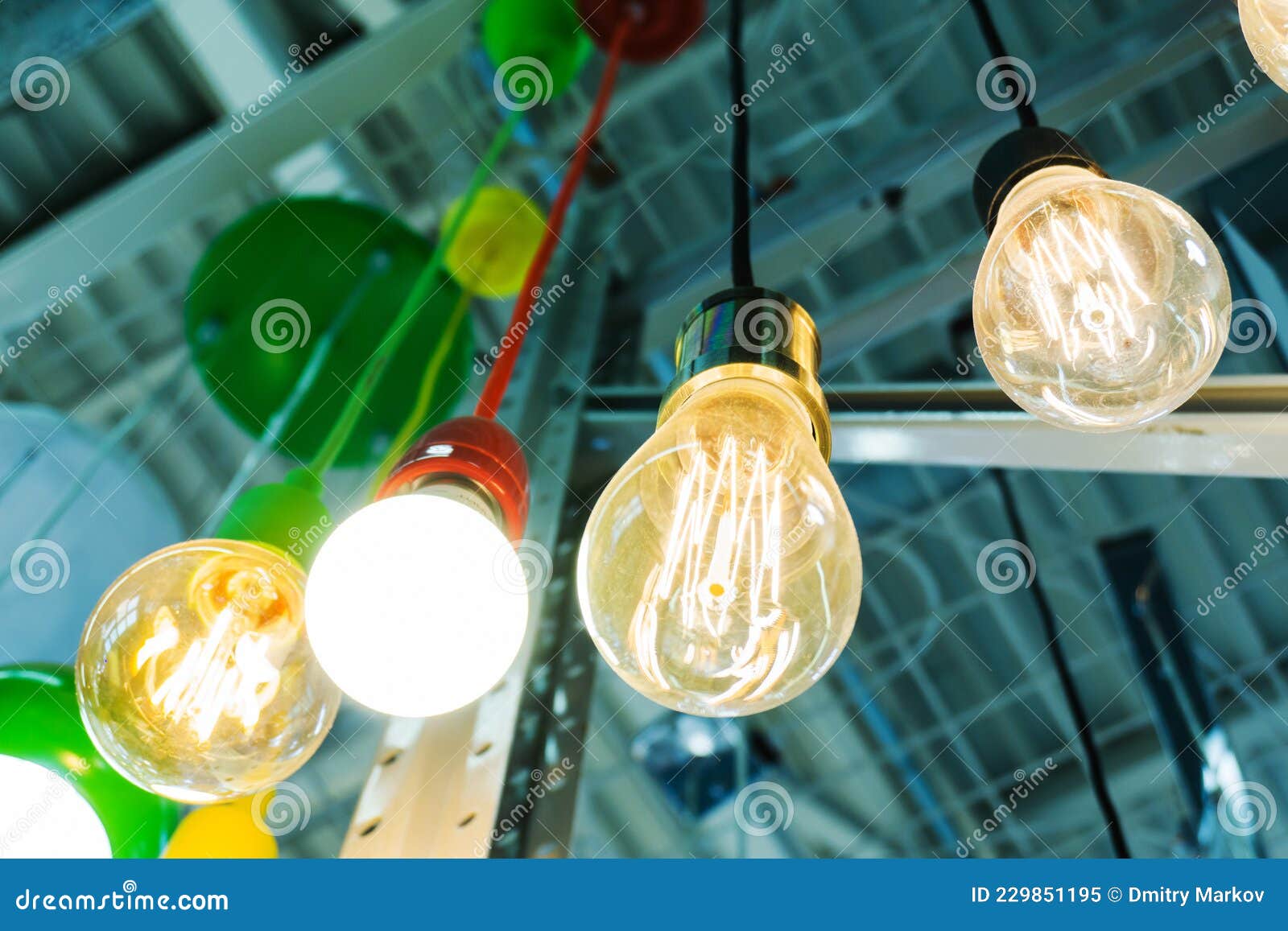 Light Bulbs of Different Types are Hanging in an Electrical Store Stock ...