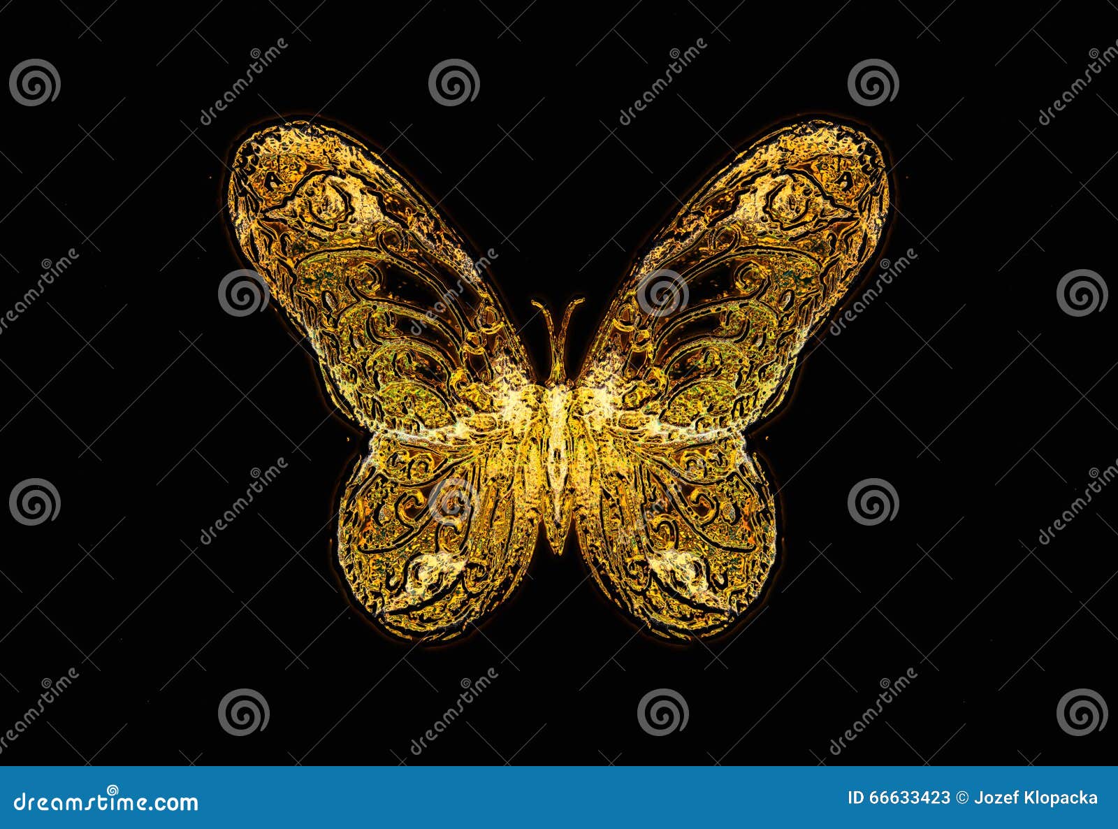 Butterfly Drawing Transformation Stock Illustrations – 395 Butterfly ...