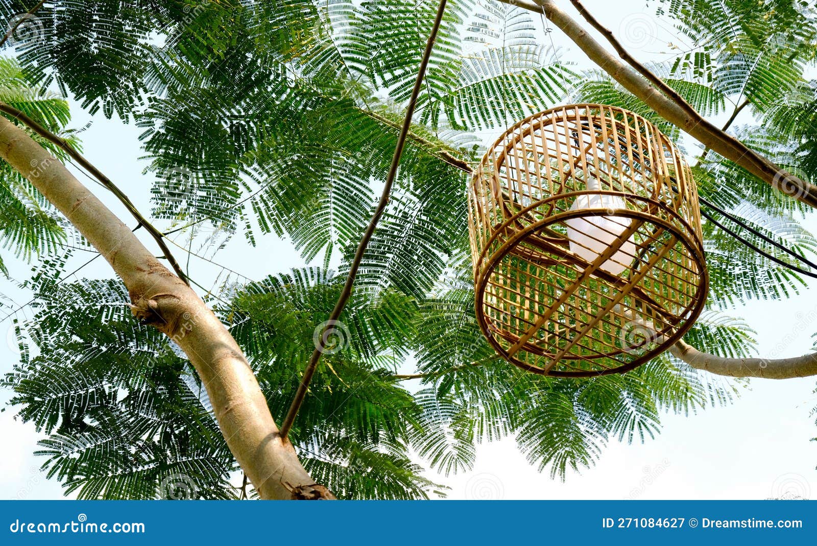 Light in the Cage Hanging on Tree Stock Image - Image of elegant, cage ...