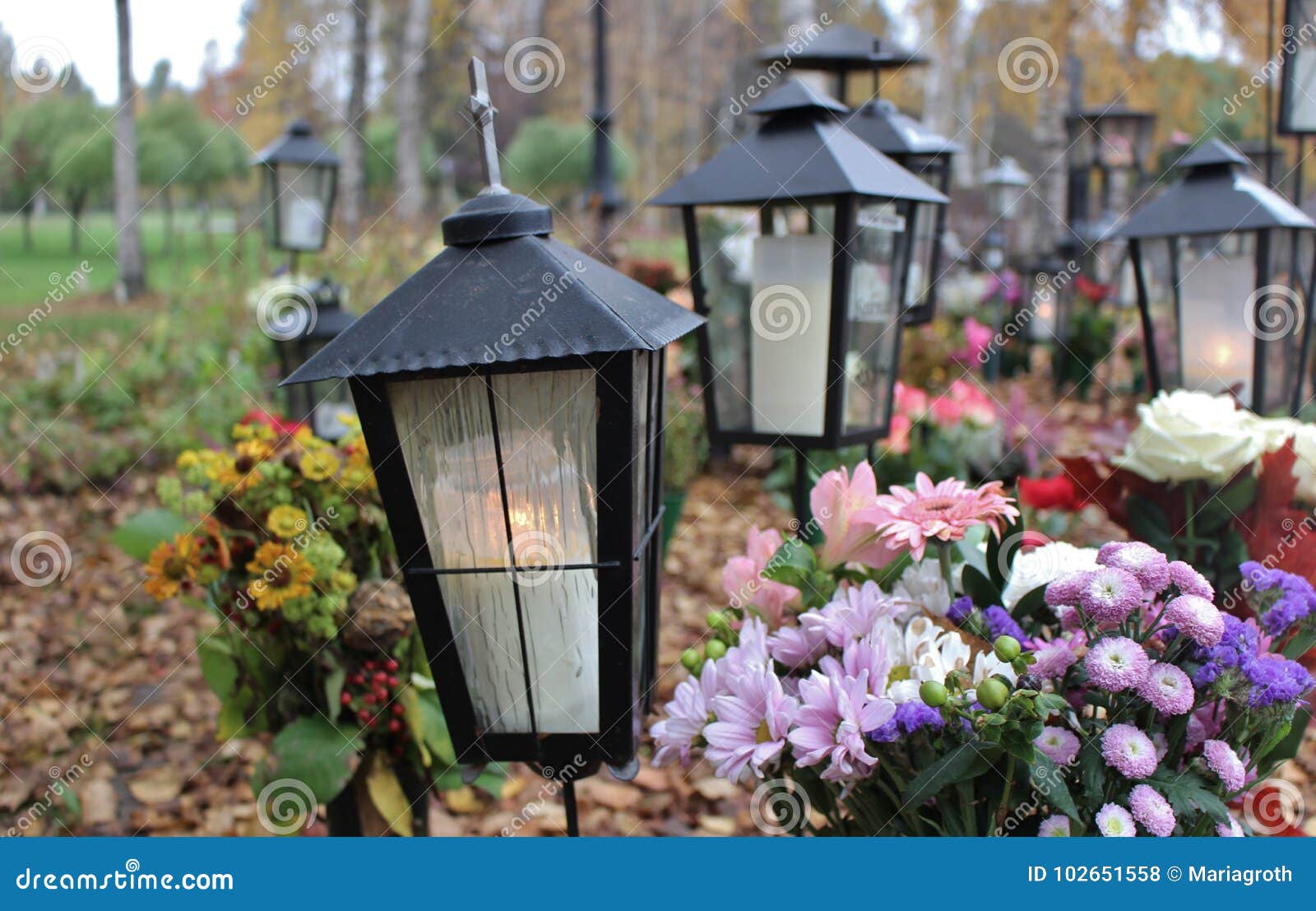 Light at the cemetery stock photo. Image of flowers - 102651558