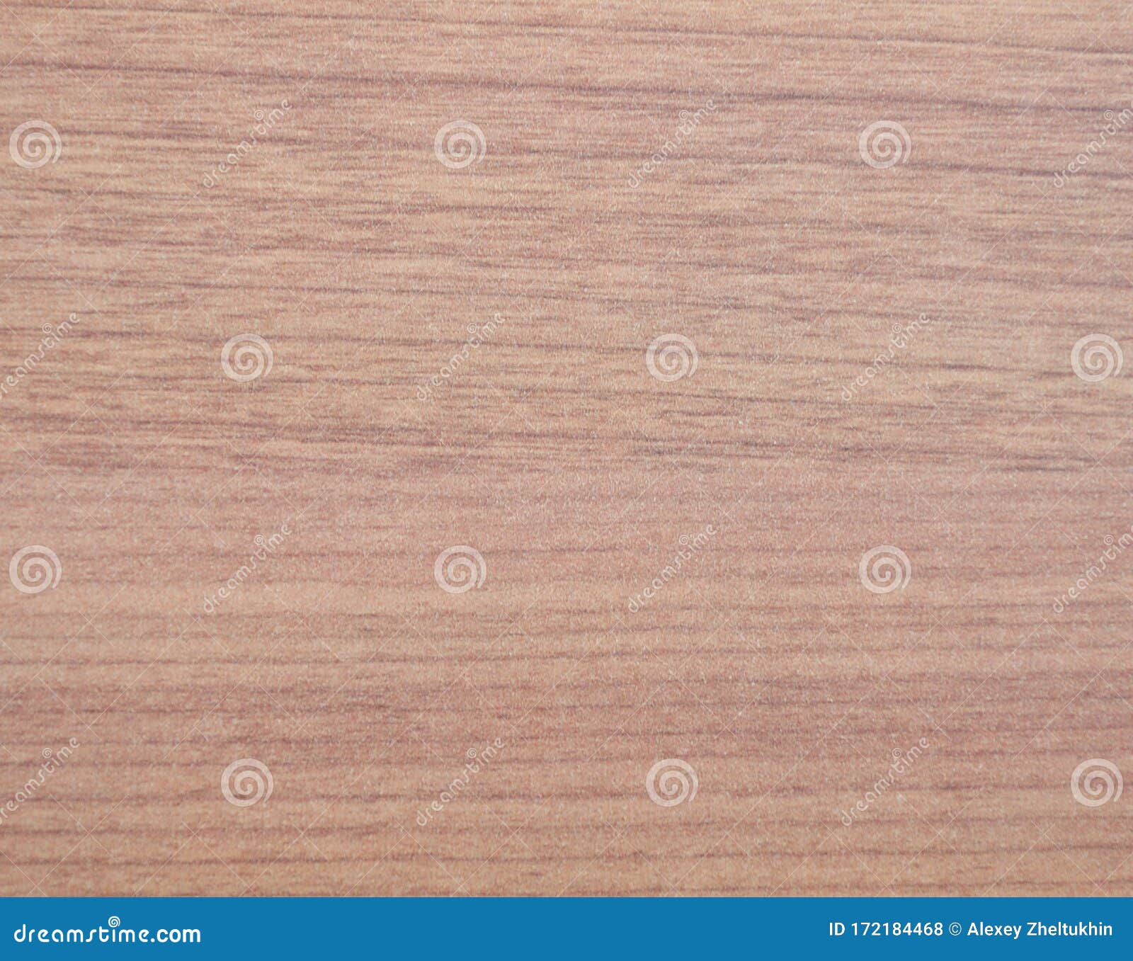 Light Cherry, Natural Texture Pattern of Sawn Wood Closeup Stock Photo ...