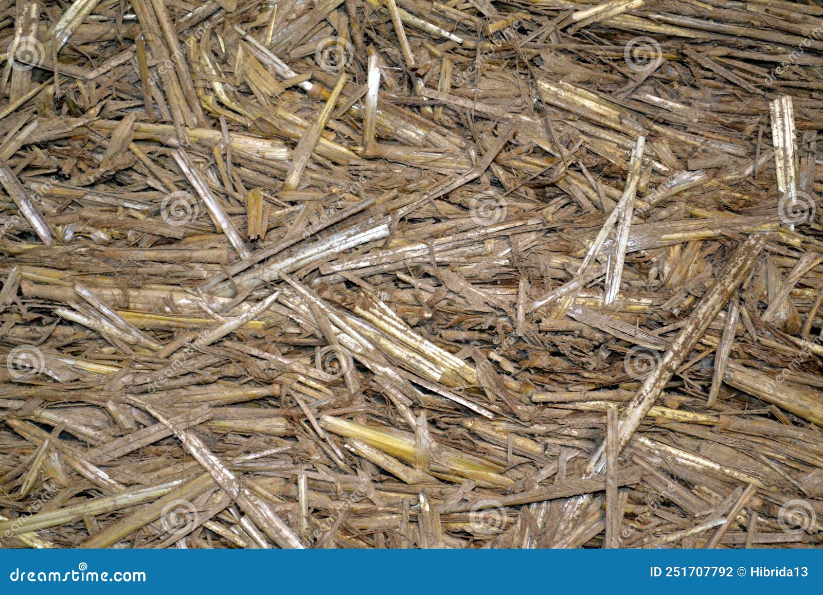 Light clay straw texture stock photo. Image of environment - 251707792