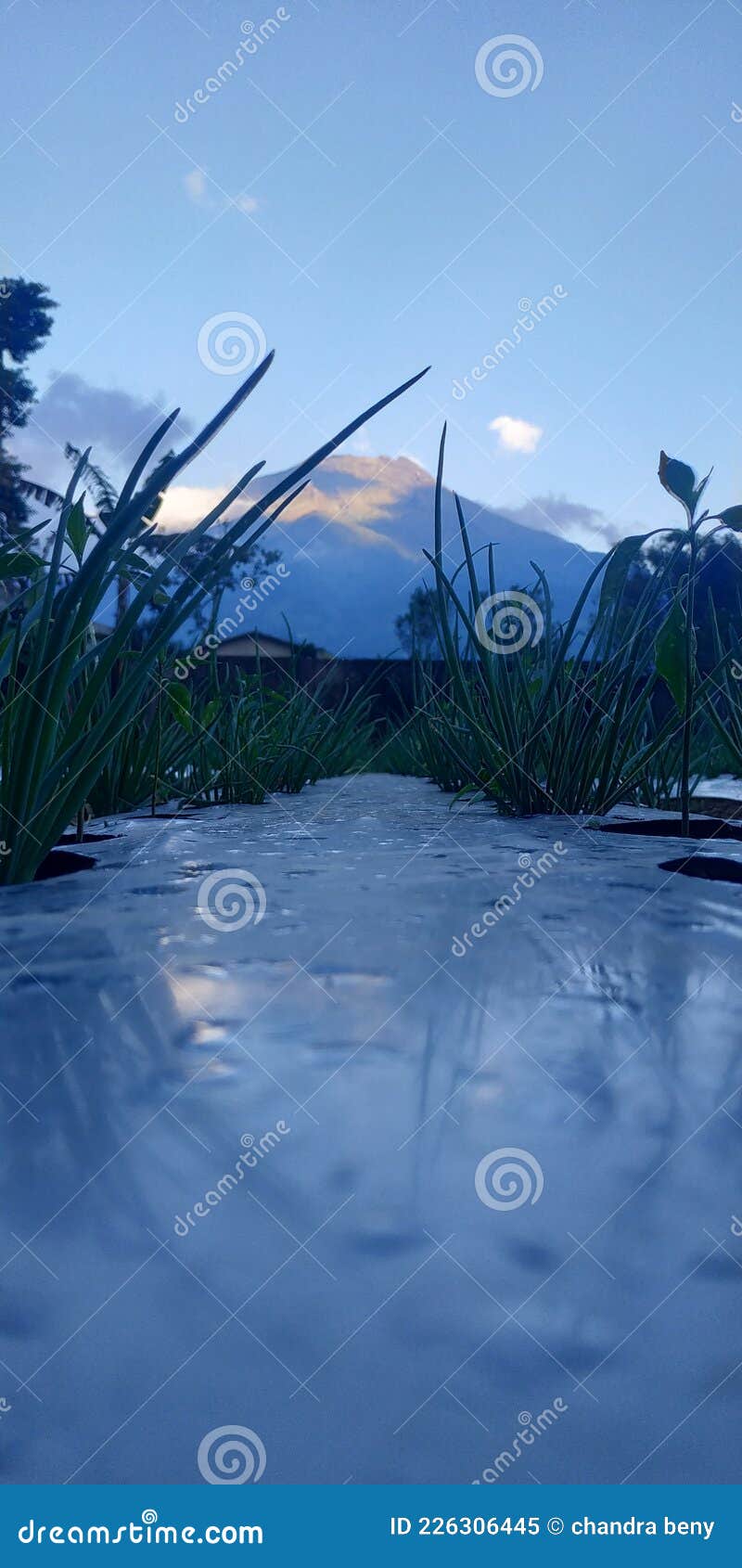 The Light of the Cleft Mountain Peak from the Middle of the Garden ...