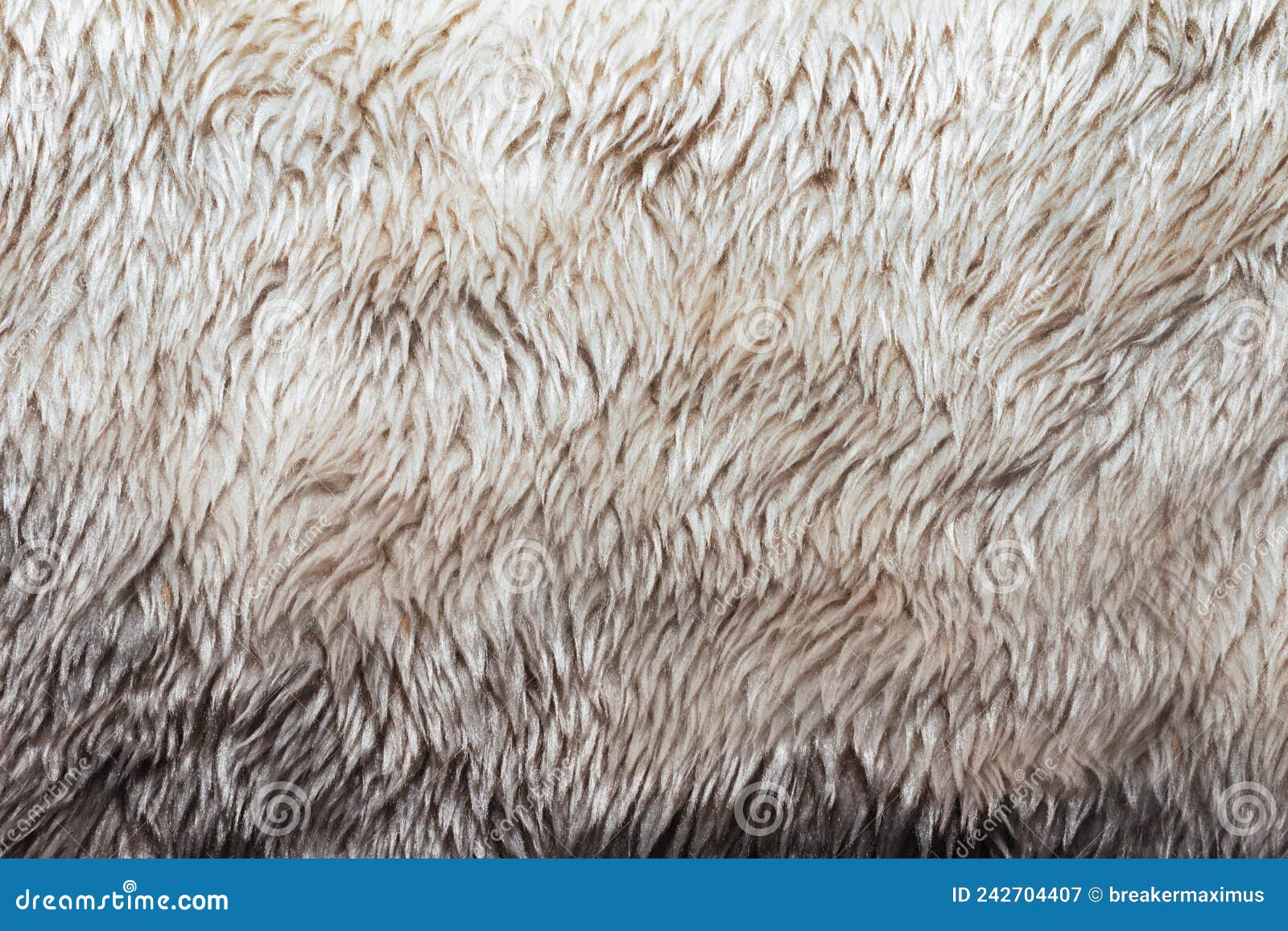 Light Colored Fur Texture Backdrop Photo Stock Image - Image of ...