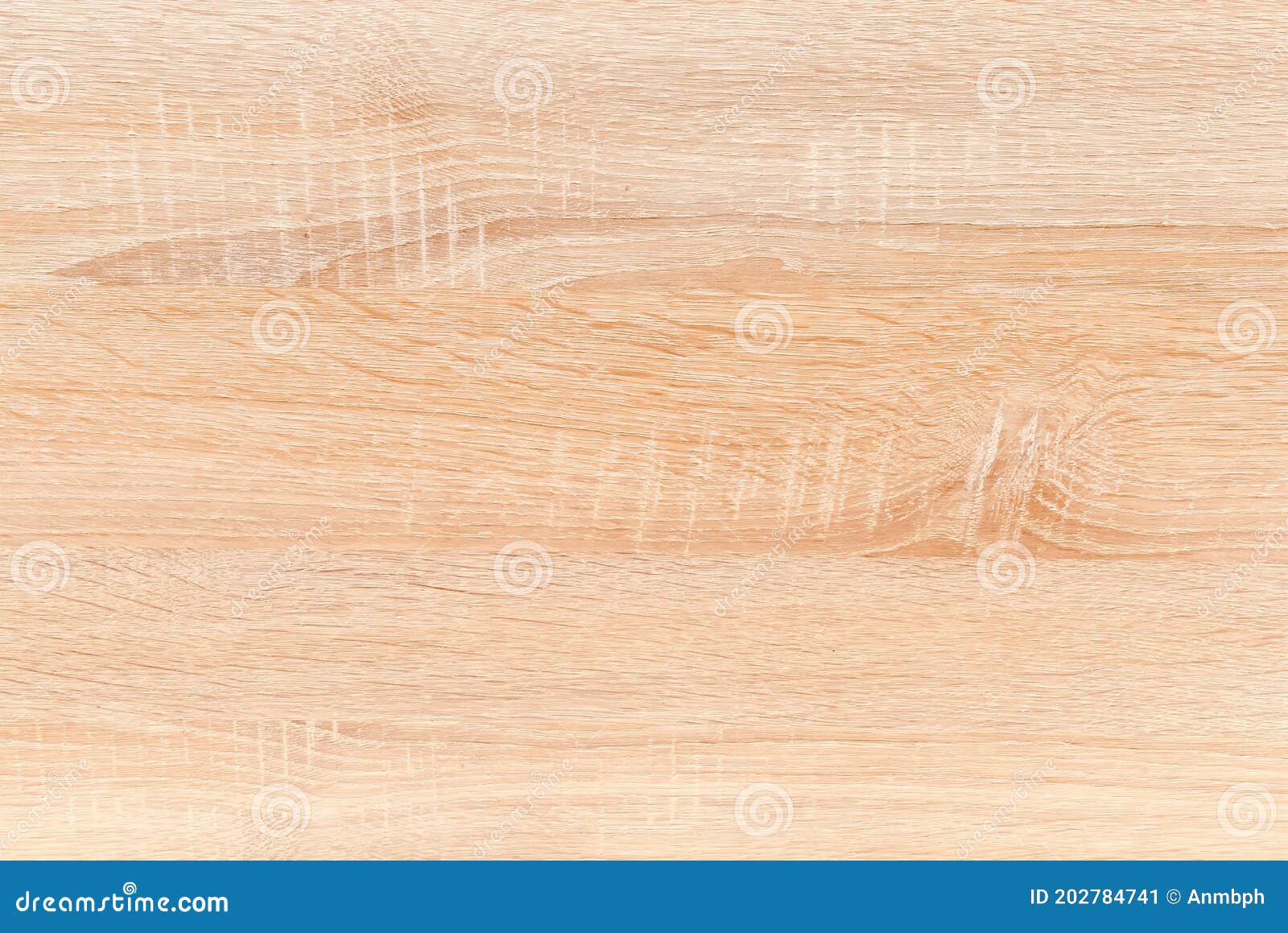 Light Colored Wooden Panel, Background, Texture Stock Image - Image of ...