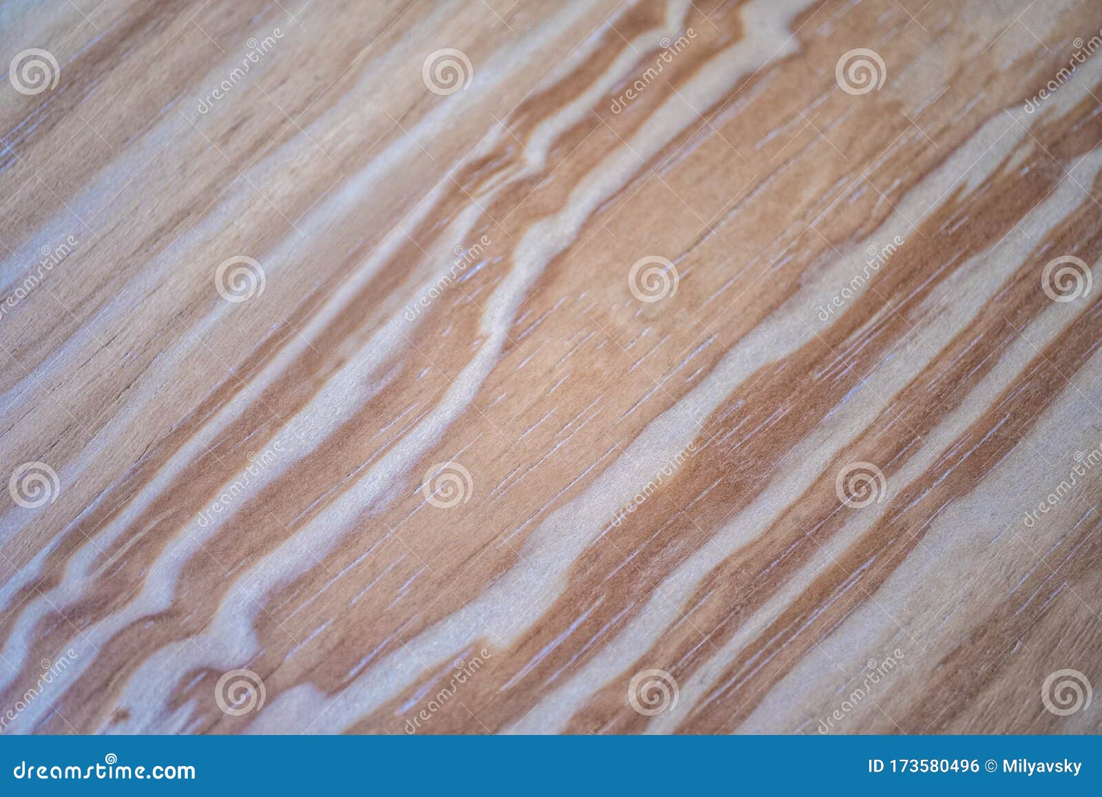 Light Colorless Wooden Surface, Natural Pattern Stock Photo - Image of ...