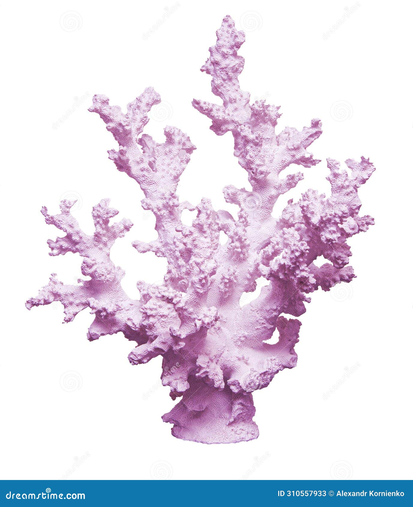 Light coral isolated stock image. Image of collection - 310557933