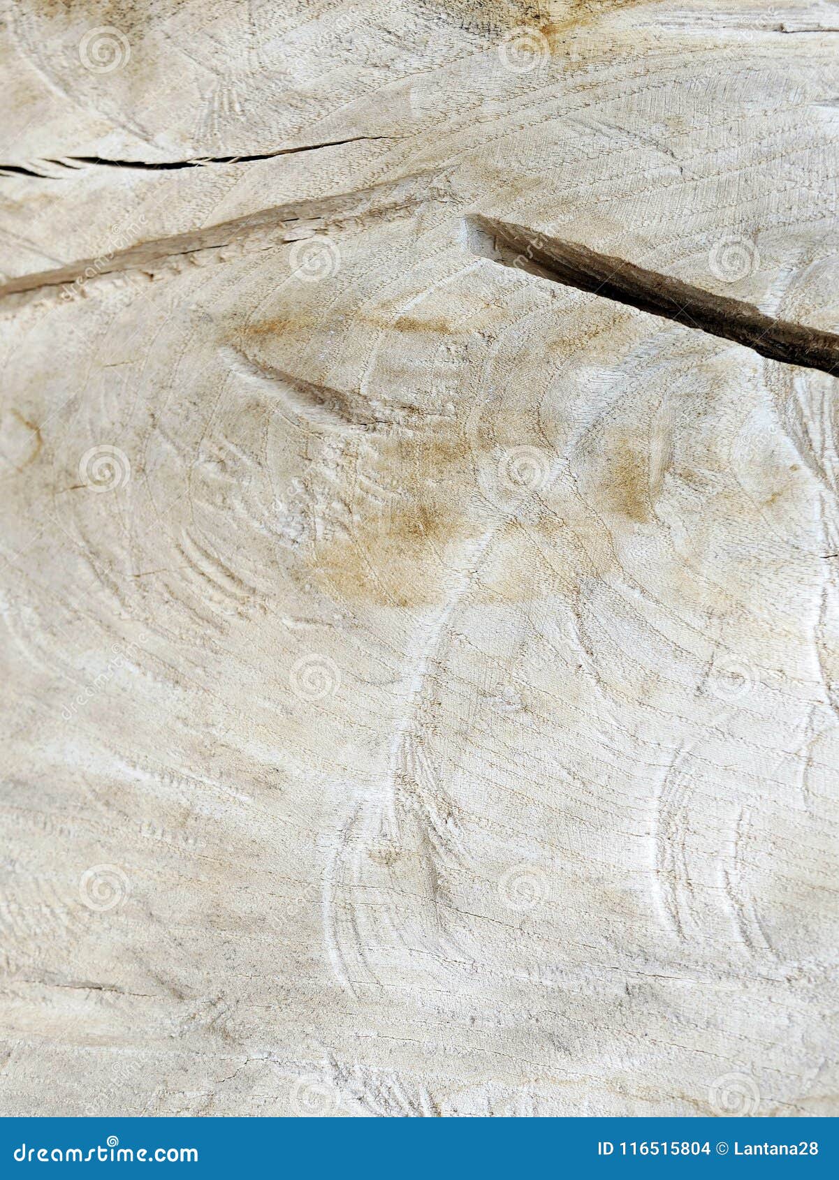 Light Cut of a Tree with Notches from an Ax Stock Photo - Image of ...