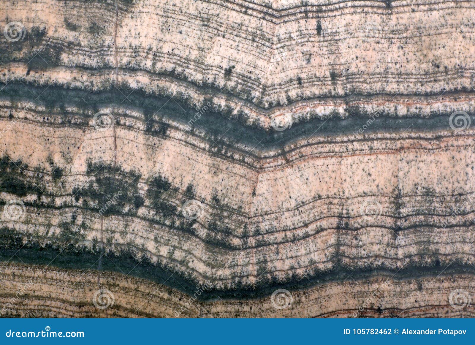 Light And Dark Striped Skarn Texture Stock Photography | CartoonDealer ...