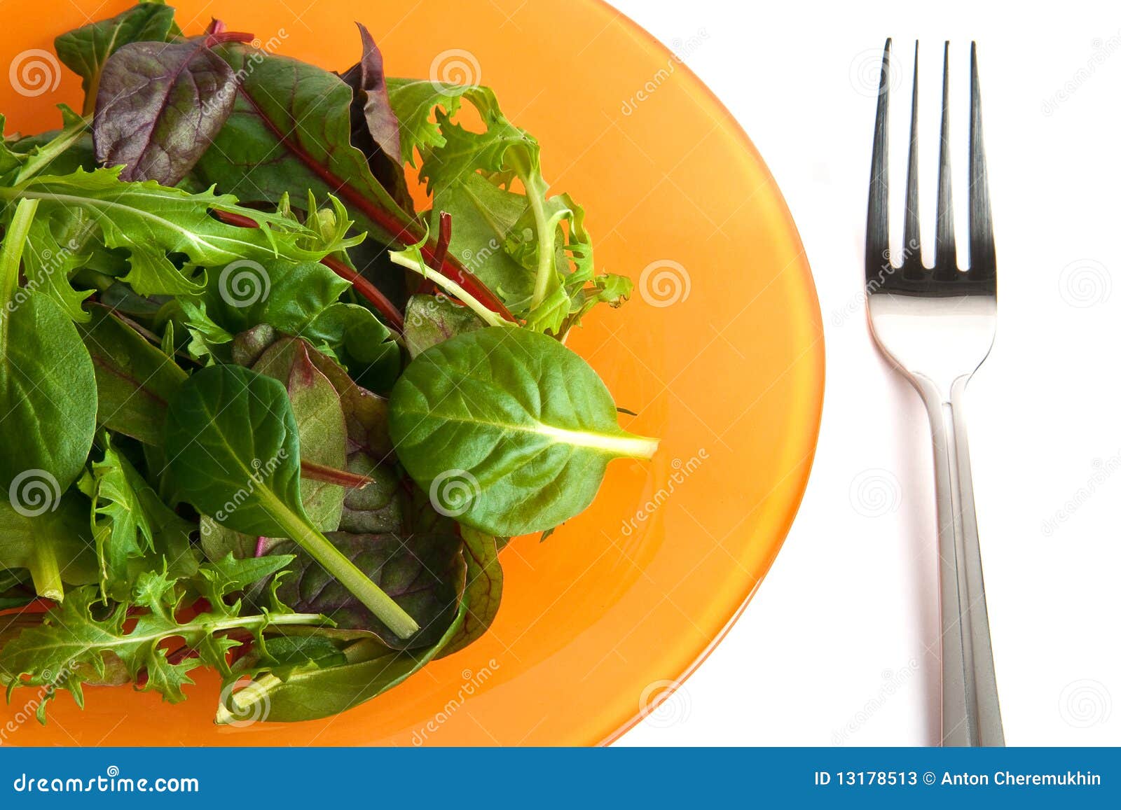 Light dish stock image. Image of meal, salad, lunch, bowl - 13178513