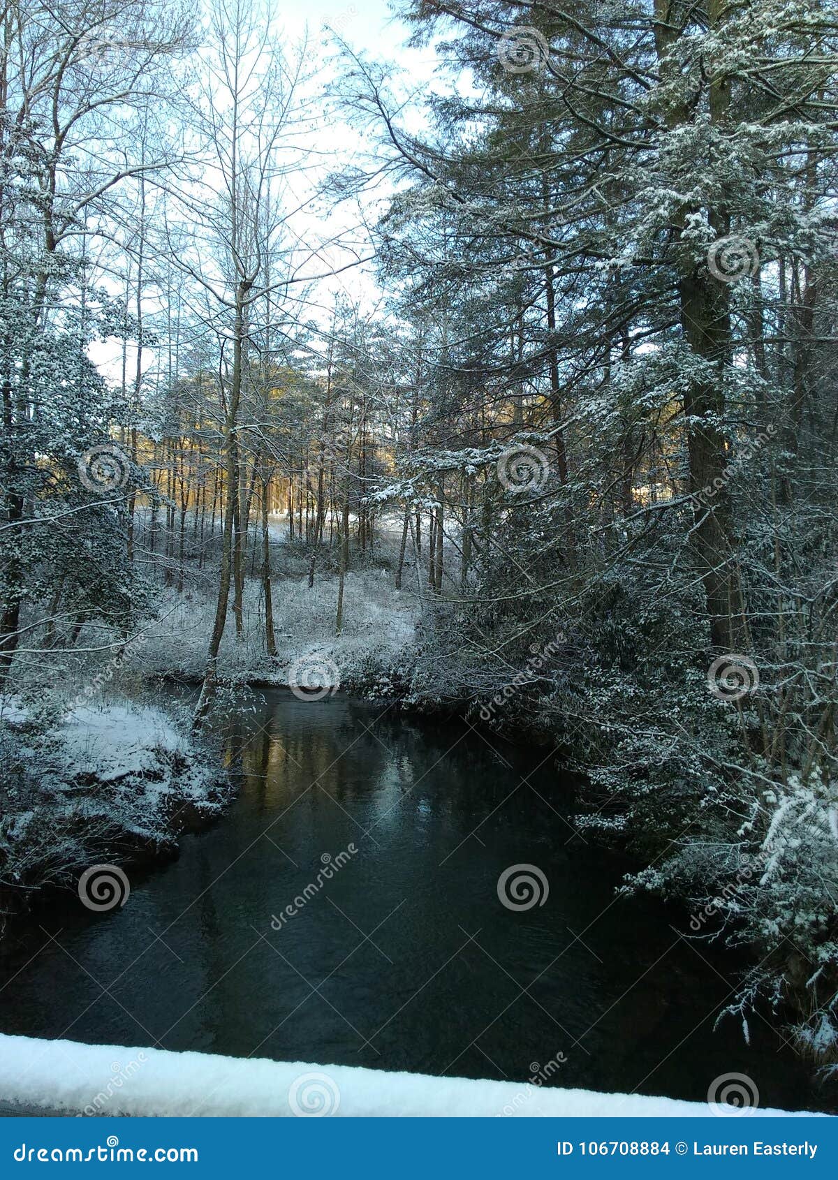 Snowy Stream stock photo. Image of snowy, nature, frost - 106708884