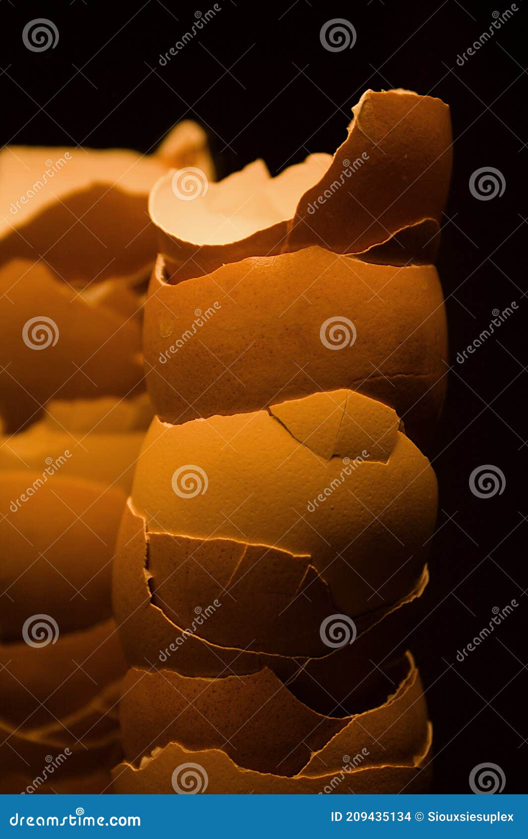 Light Egg Shells Reflected stock photo. Image of shine - 209435134