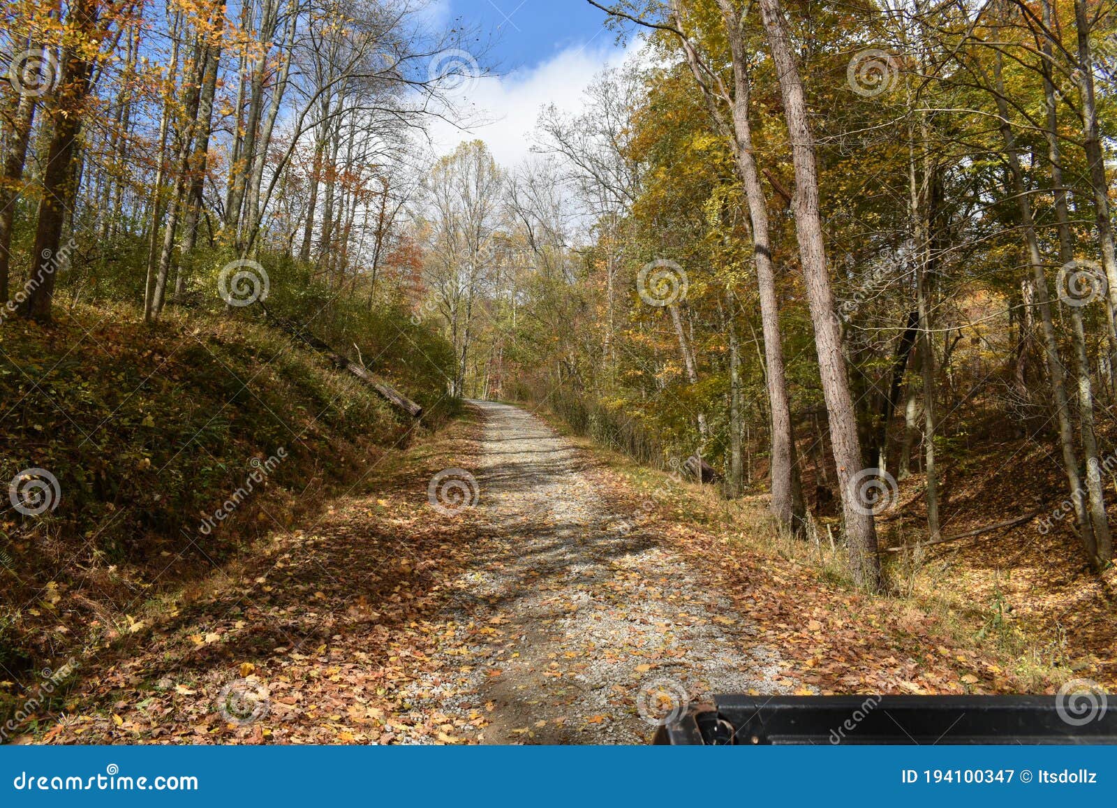 Light at the End of the Trail Stock Image - Image of autumn, forest ...