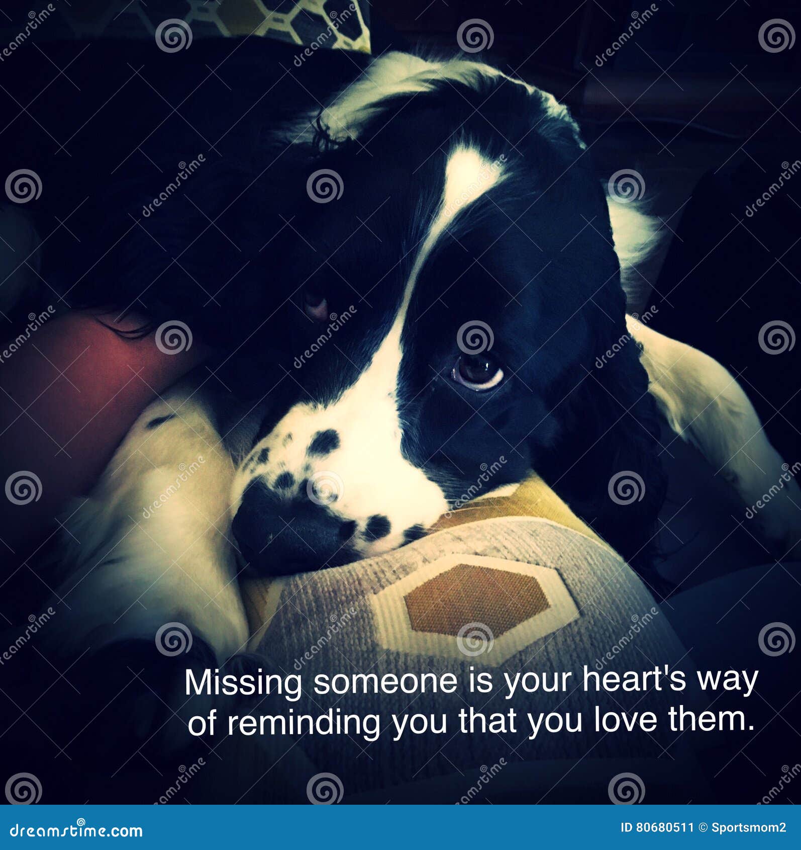 Light of faith stock image. Image of faith, biblical - 80680511