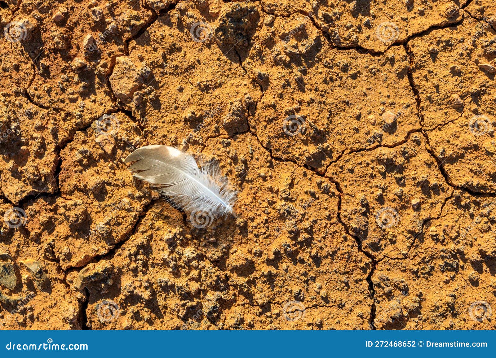 A Light Feather Falling on Dry Soil Stock Photo - Image of white ...