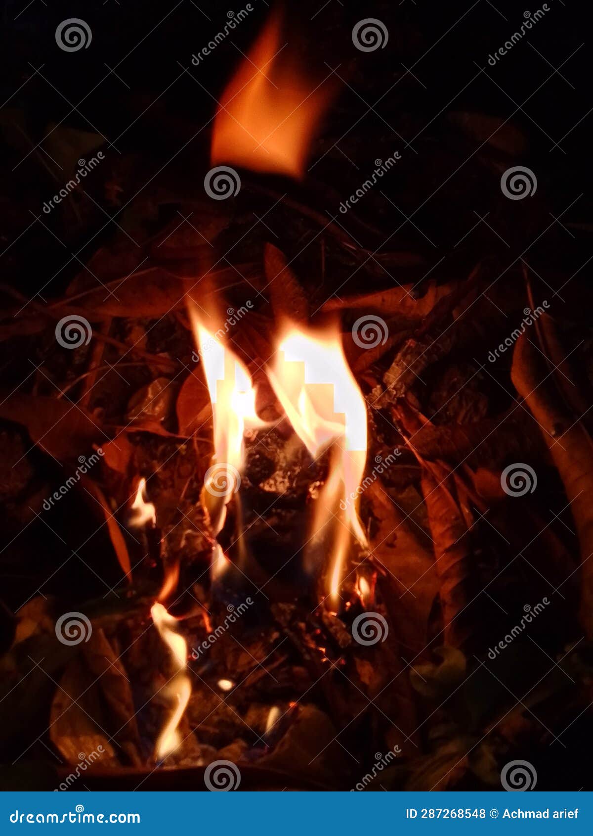 Light of Fire Burning by Dry Leaf Stock Photo - Image of leaf, burning ...