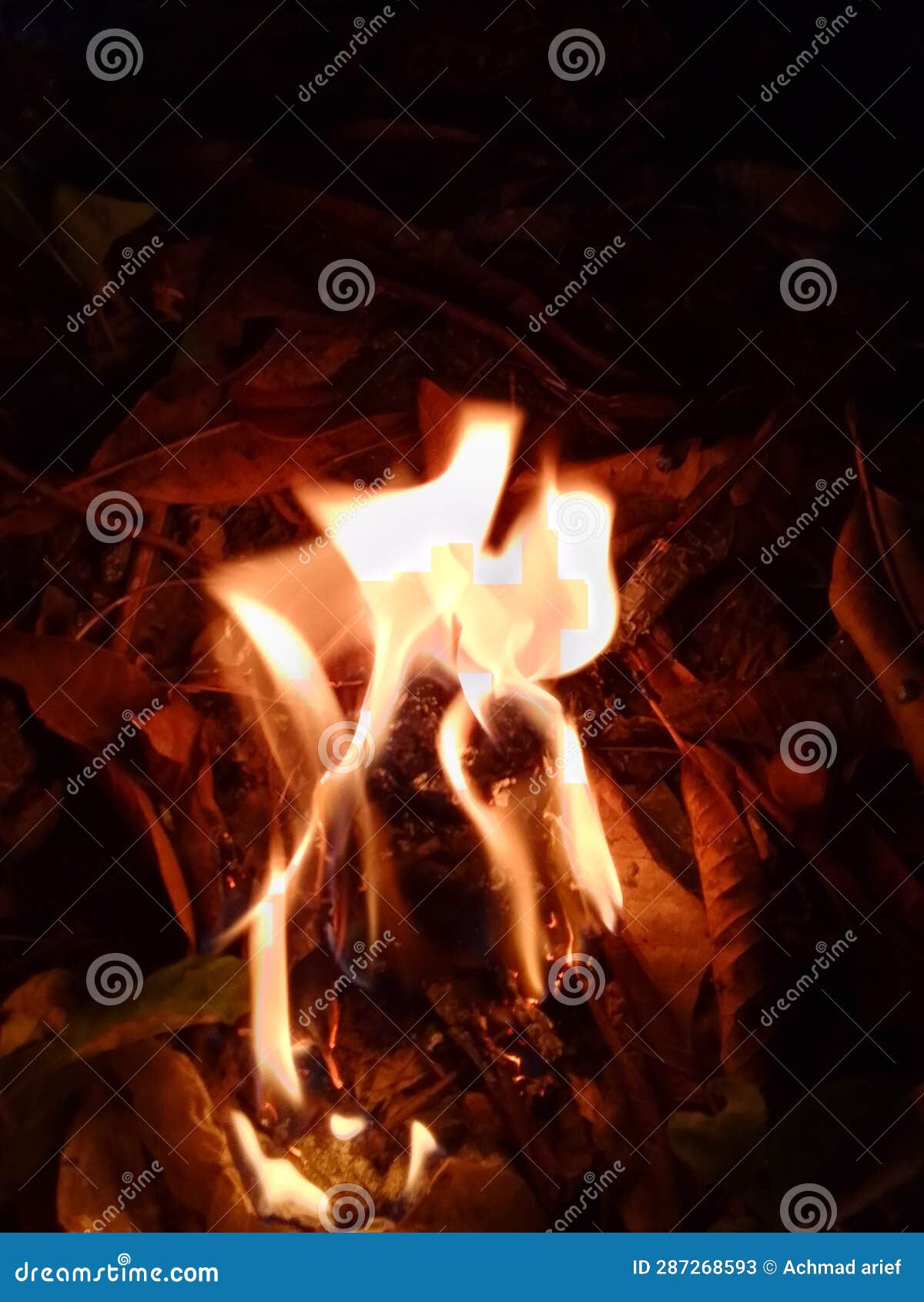 Light of Fire Burning by Dry Leaf Stock Image - Image of light, burning ...