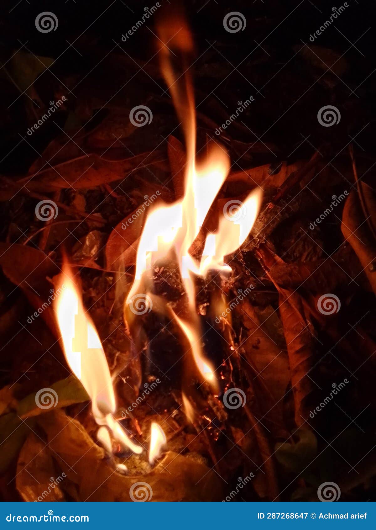 Light of Fire Burning by Dry Leaf Stock Image - Image of light, fire ...
