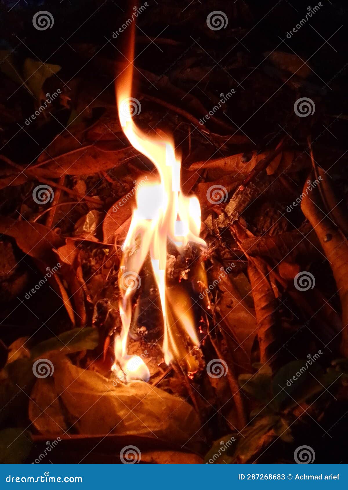 Light of Fire Burning by Dry Leaf Stock Image - Image of light, burning ...