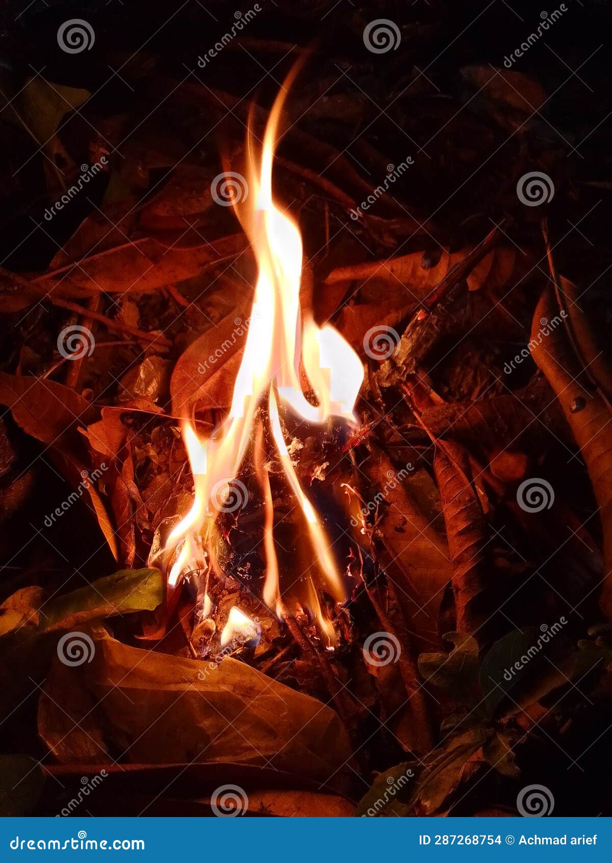 Light of Fire Burning by Dry Leaf Stock Photo - Image of light, burning ...