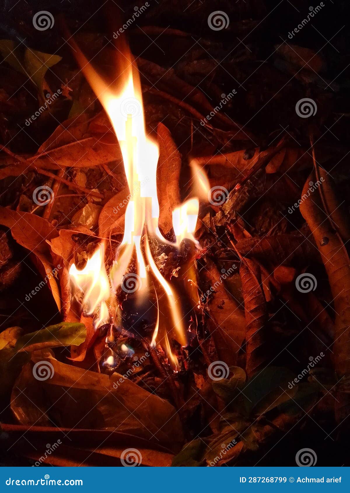 Light of Fire Burning by Dry Leaf Stock Image - Image of burning, light ...