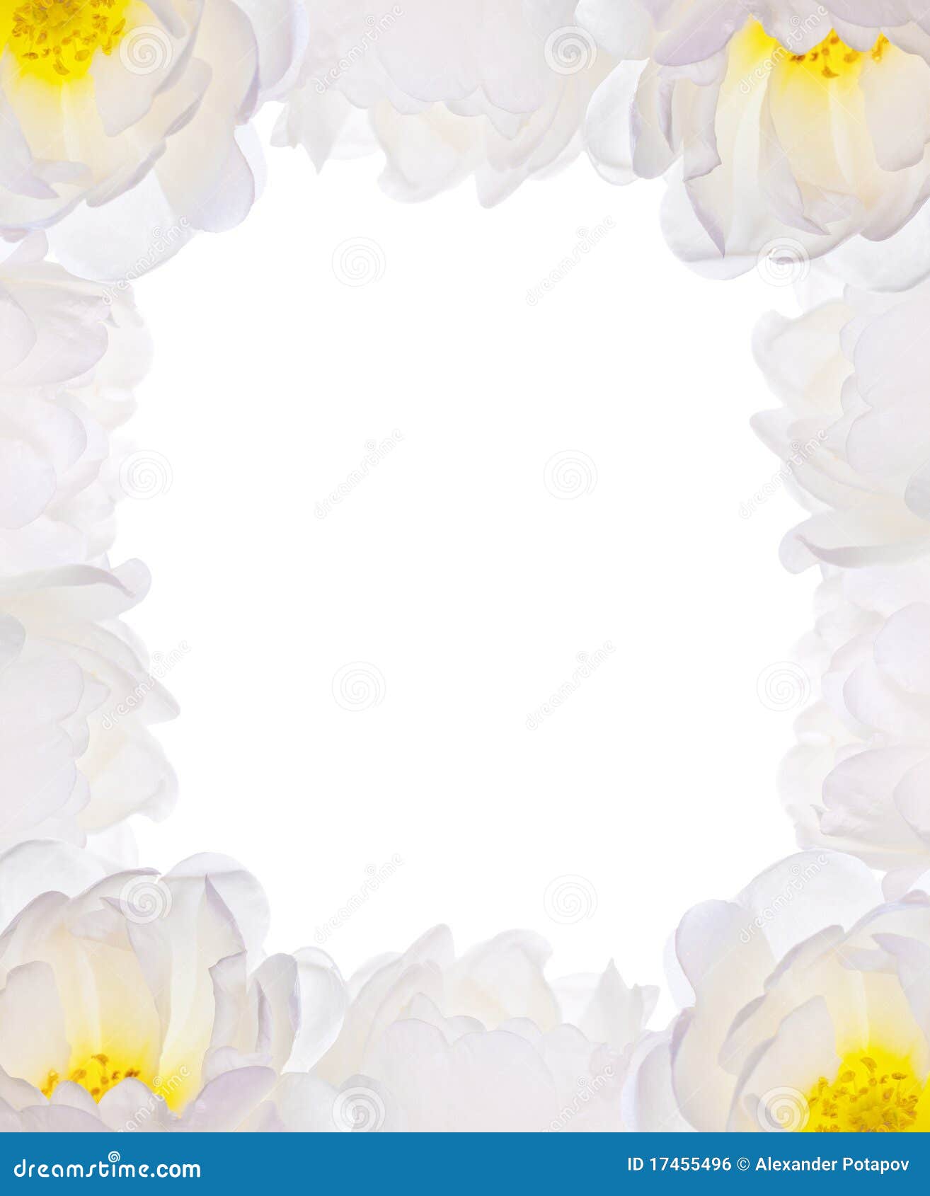 Light Flowers Frame Isolated on White Stock Illustration - Illustration ...