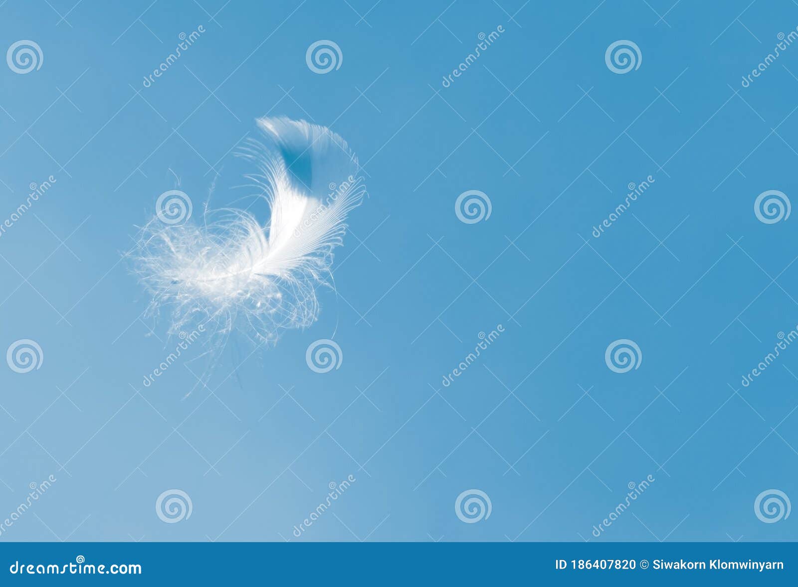 Light Fluffy Single a White Feather Floating in the Air. Stock Photo ...