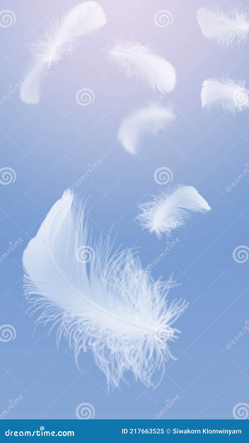 Light Fluffy White Feathers Falling Down in Blue Sky. Stock Image ...